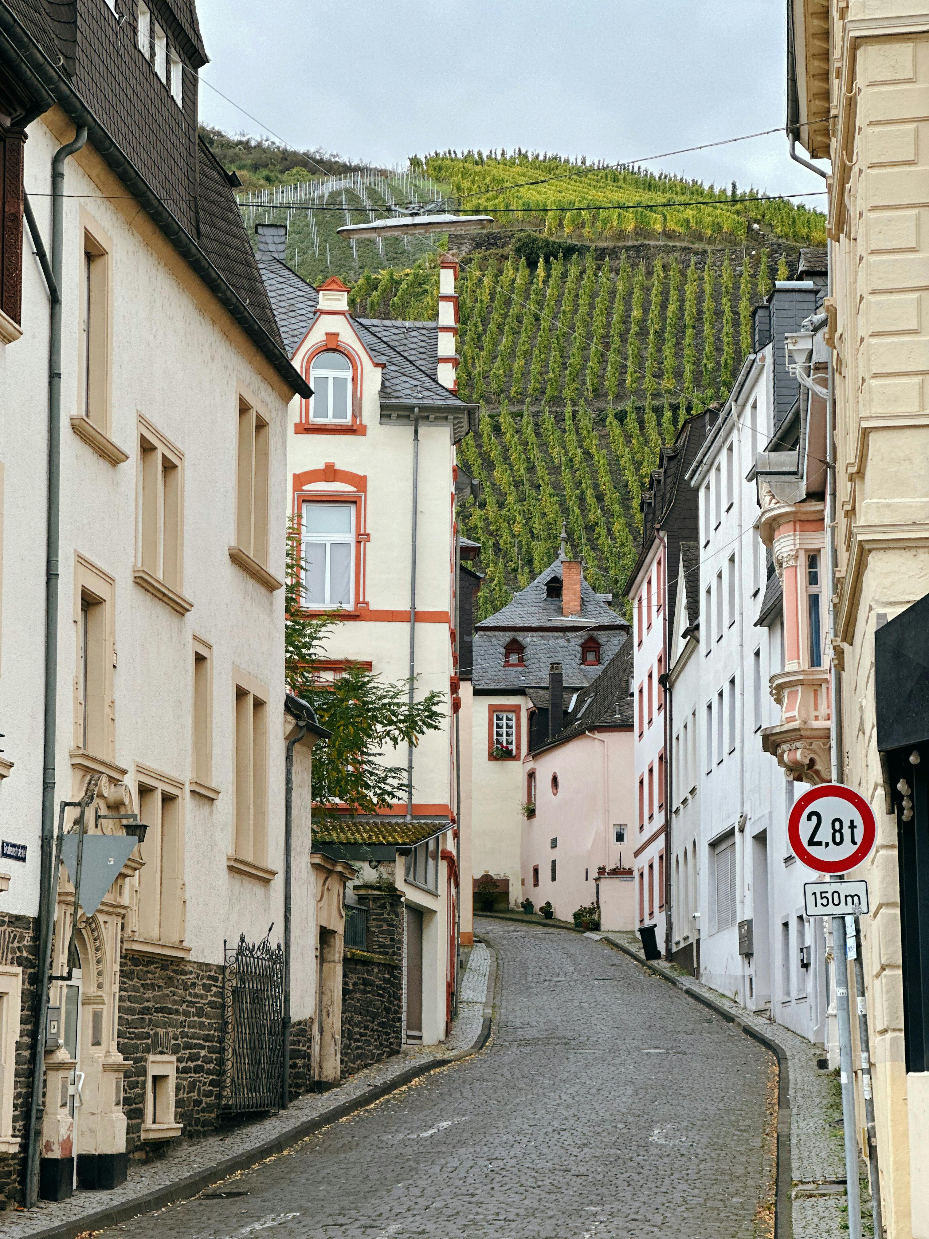 Charming European Street View with Vineyards · Free Stock Photo