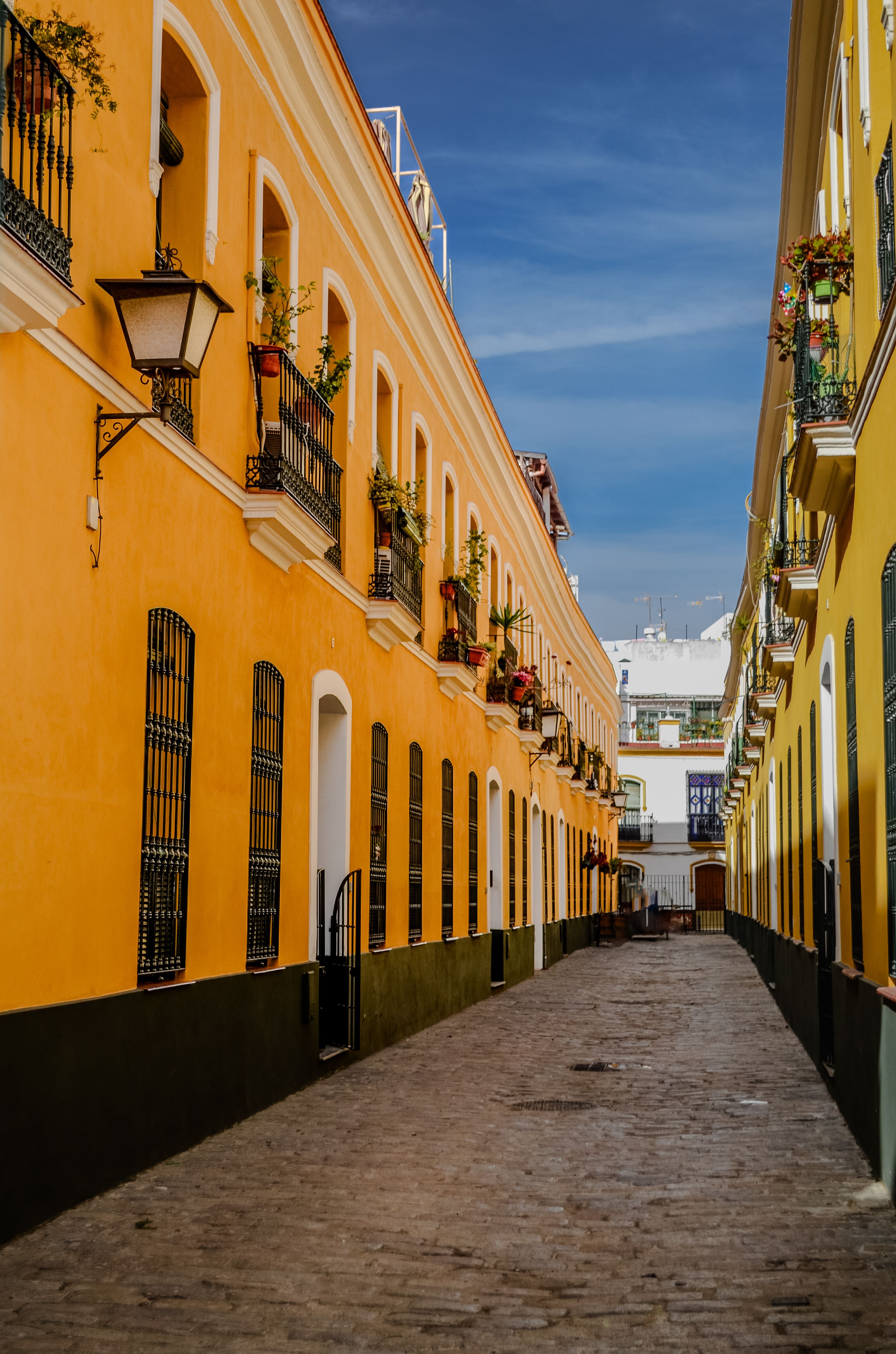 Charming Street in Seville's Historic District · Free Stock Photo