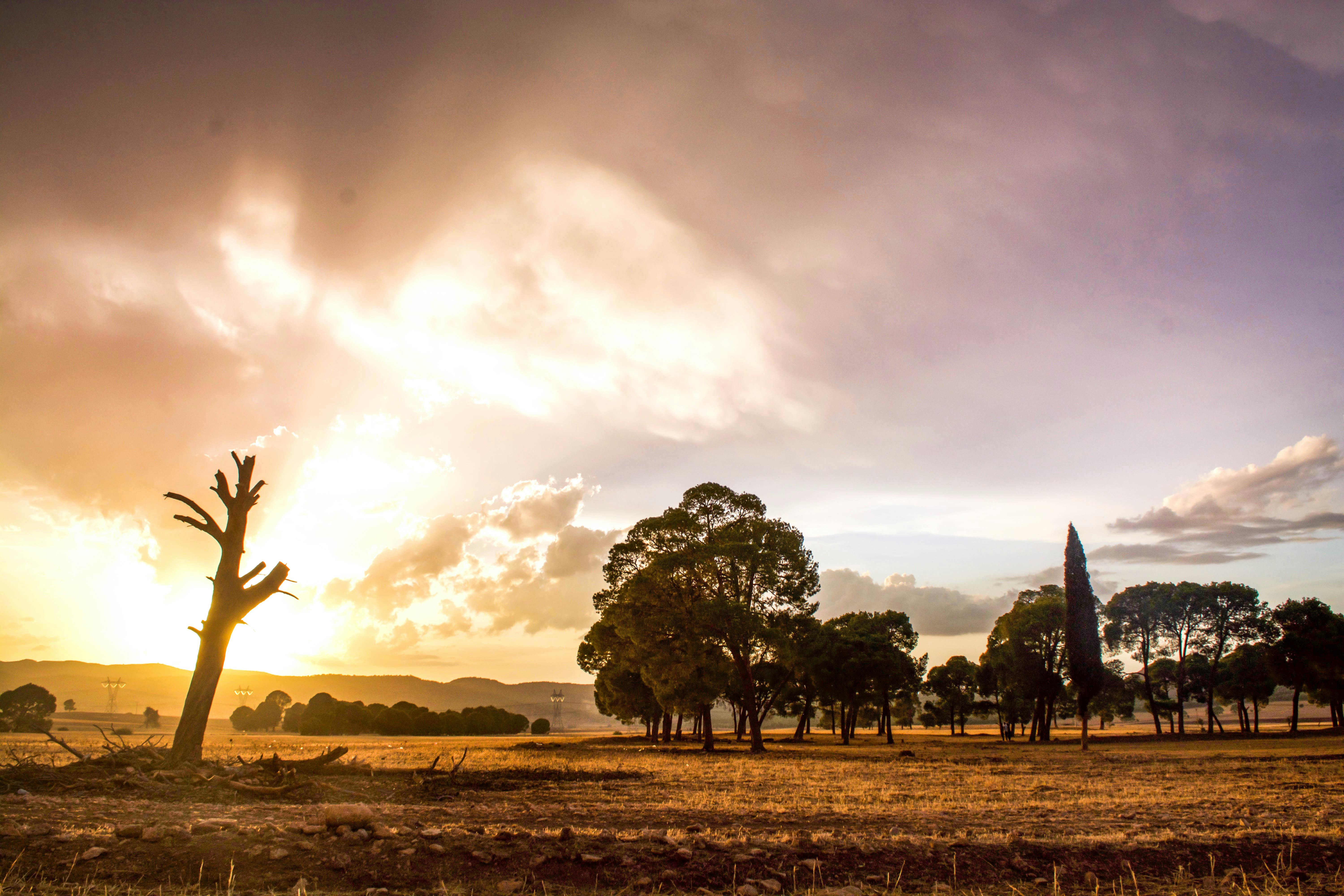 Nature / Landscape · Pexels
