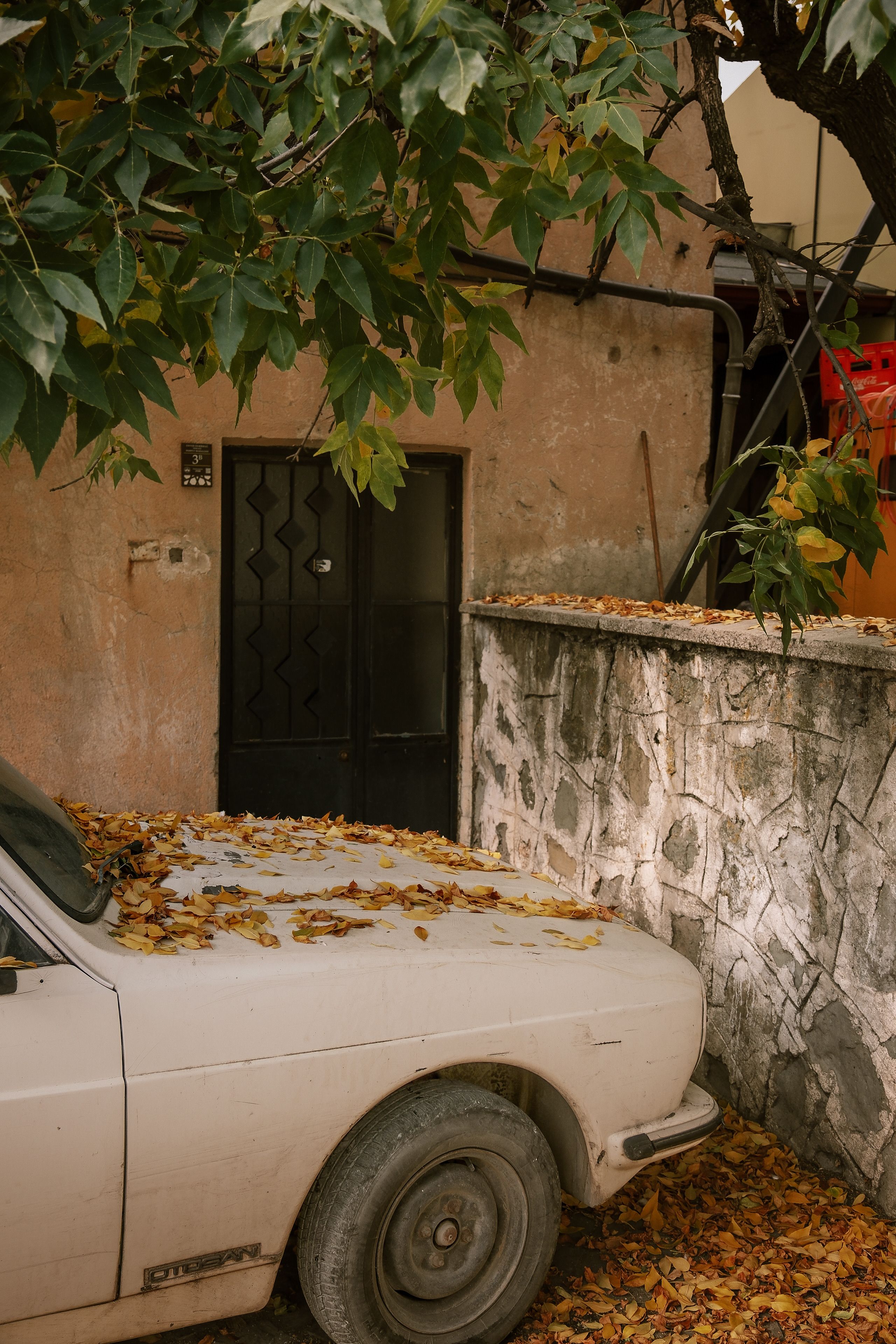 Vintage Car Covered with Fall Leaves Outdoors · Free Stock Photo