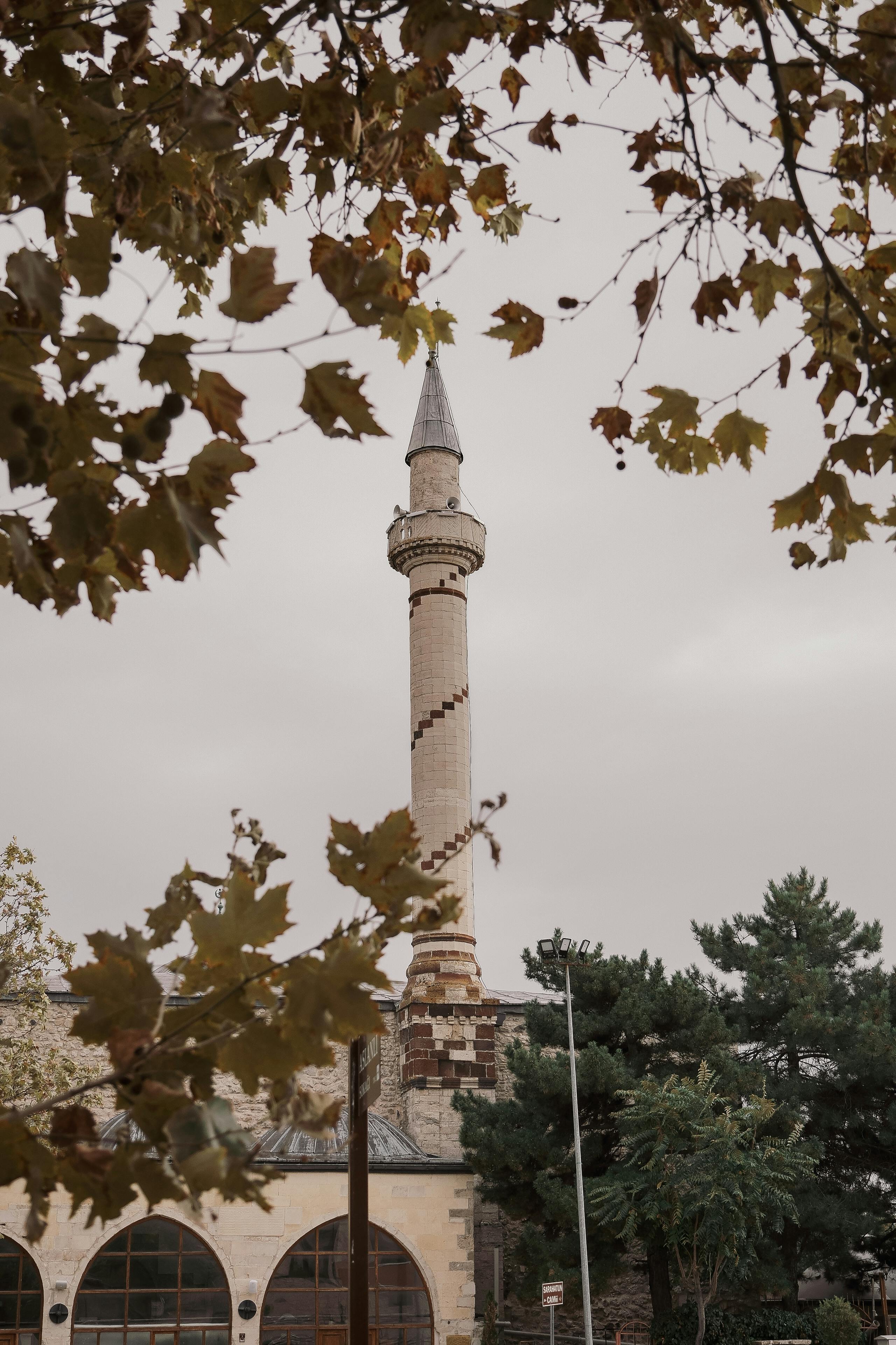 Historic Mosque Minaret Framed by Autumn Leaves · Free Stock Photo