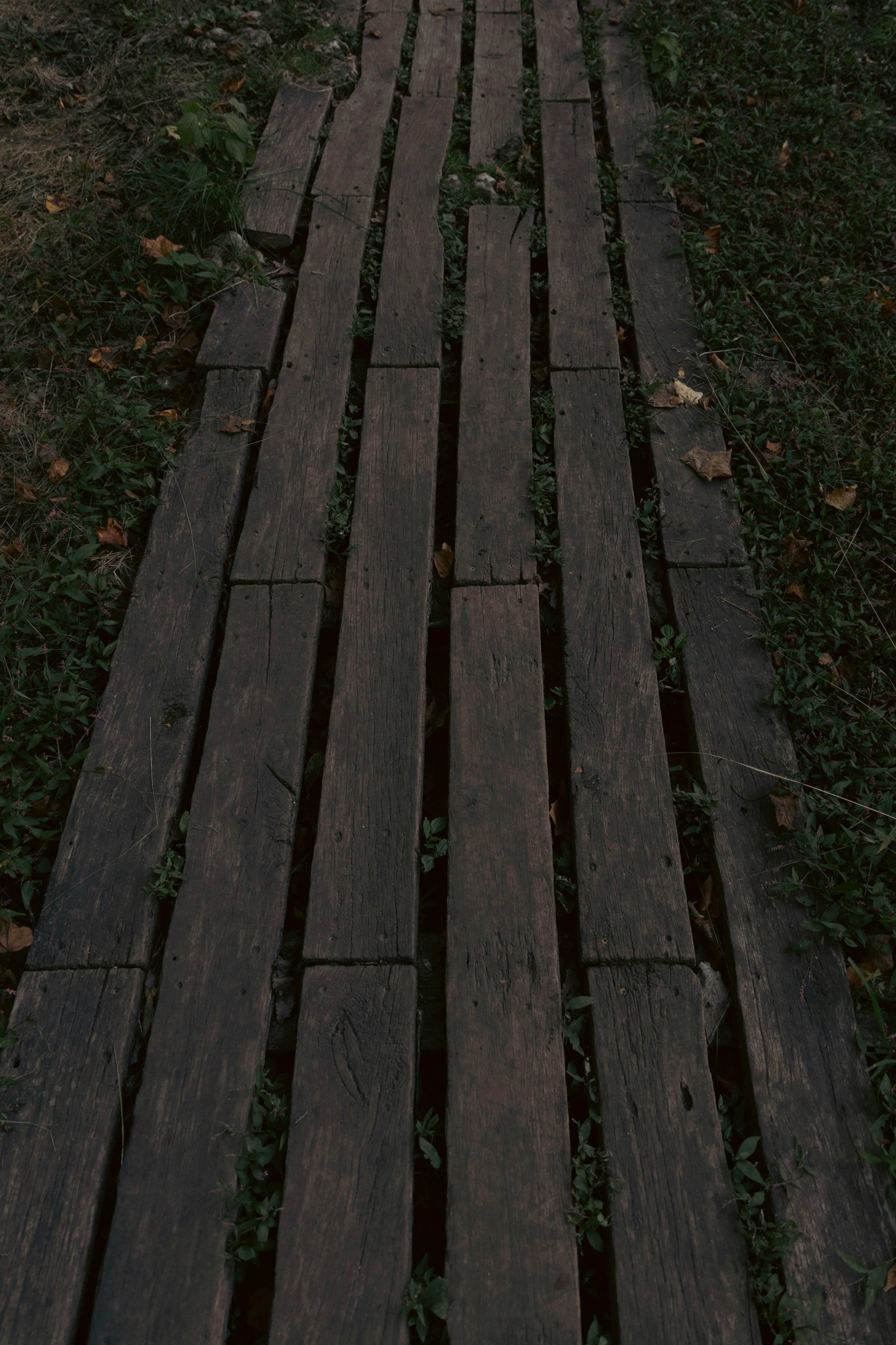 Rustic Wooden Pathway in a Grassy Garden · Free Stock Photo
