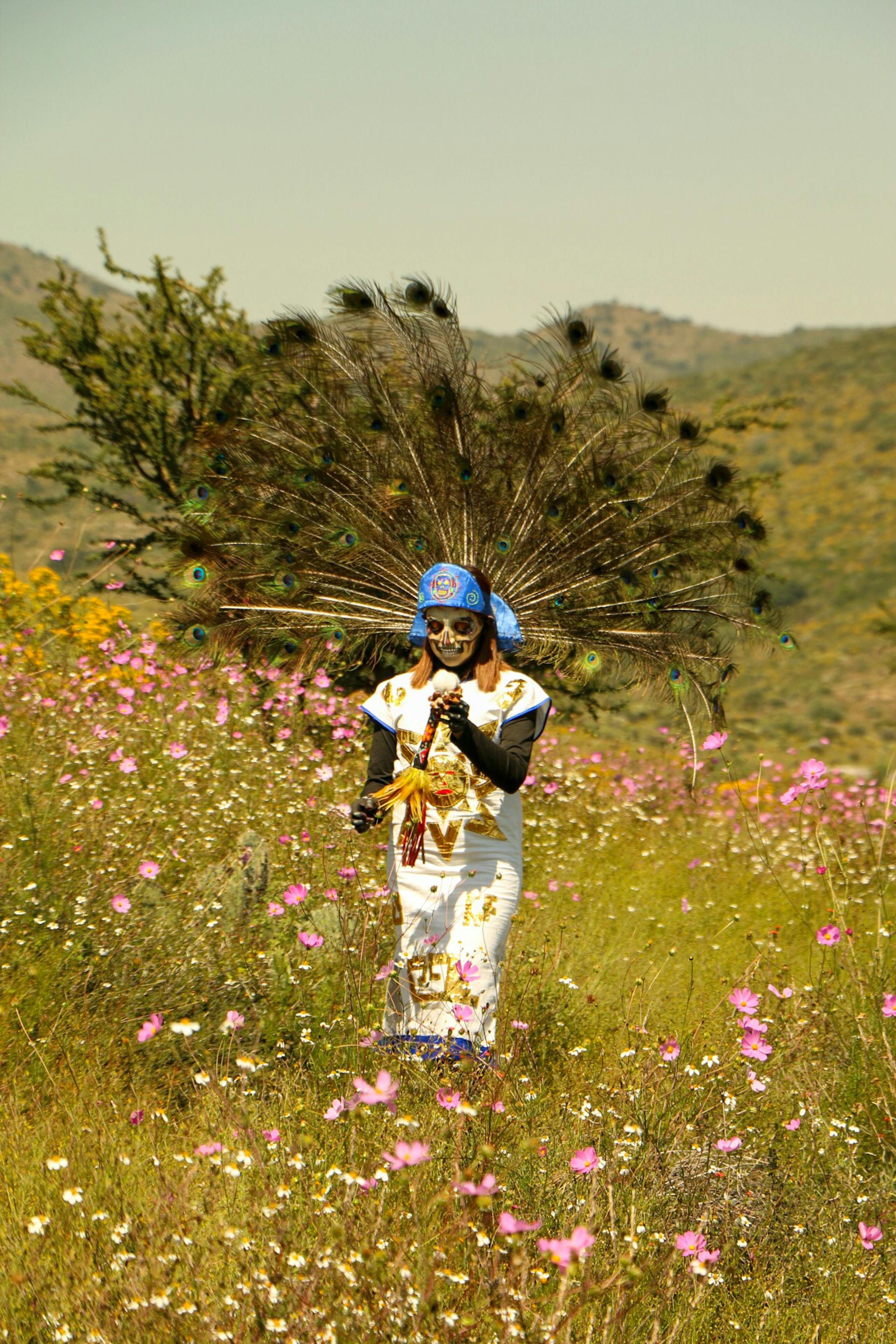 Masked Performer in Vibrant Meadow Setting · Free Stock Photo