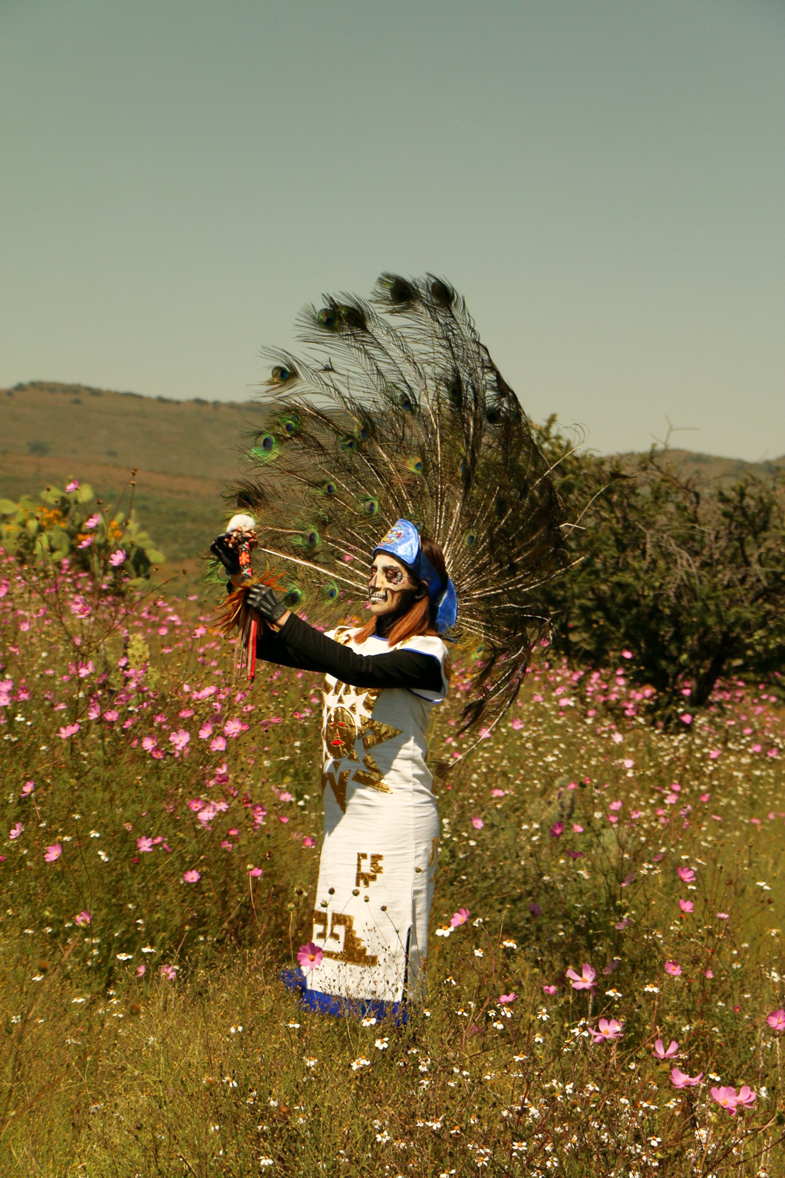 Traditional Costume in Spring Wildflower Field · Free Stock Photo