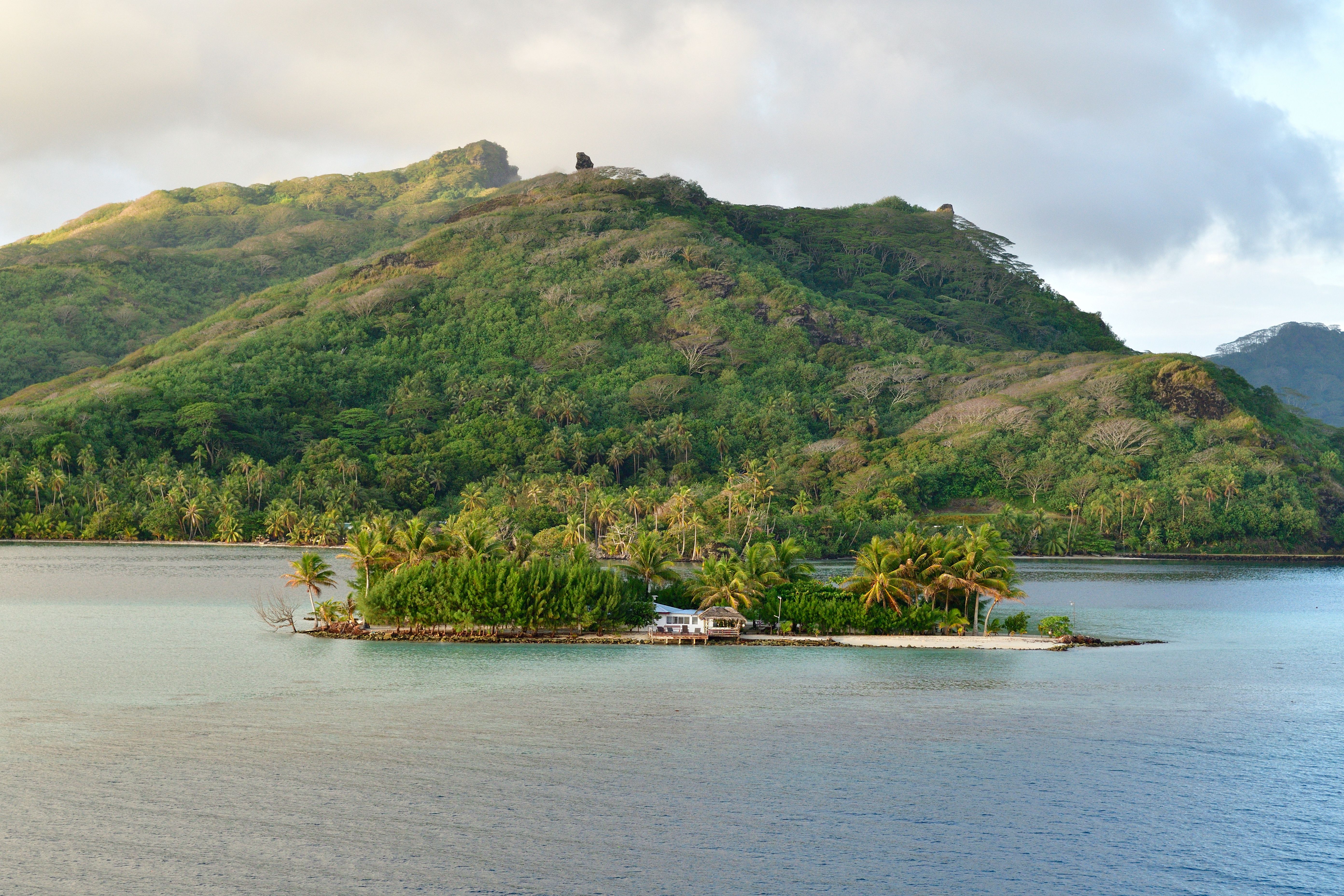 Windstar Photos, Download The BEST Free Windstar Stock Photos & HD Images