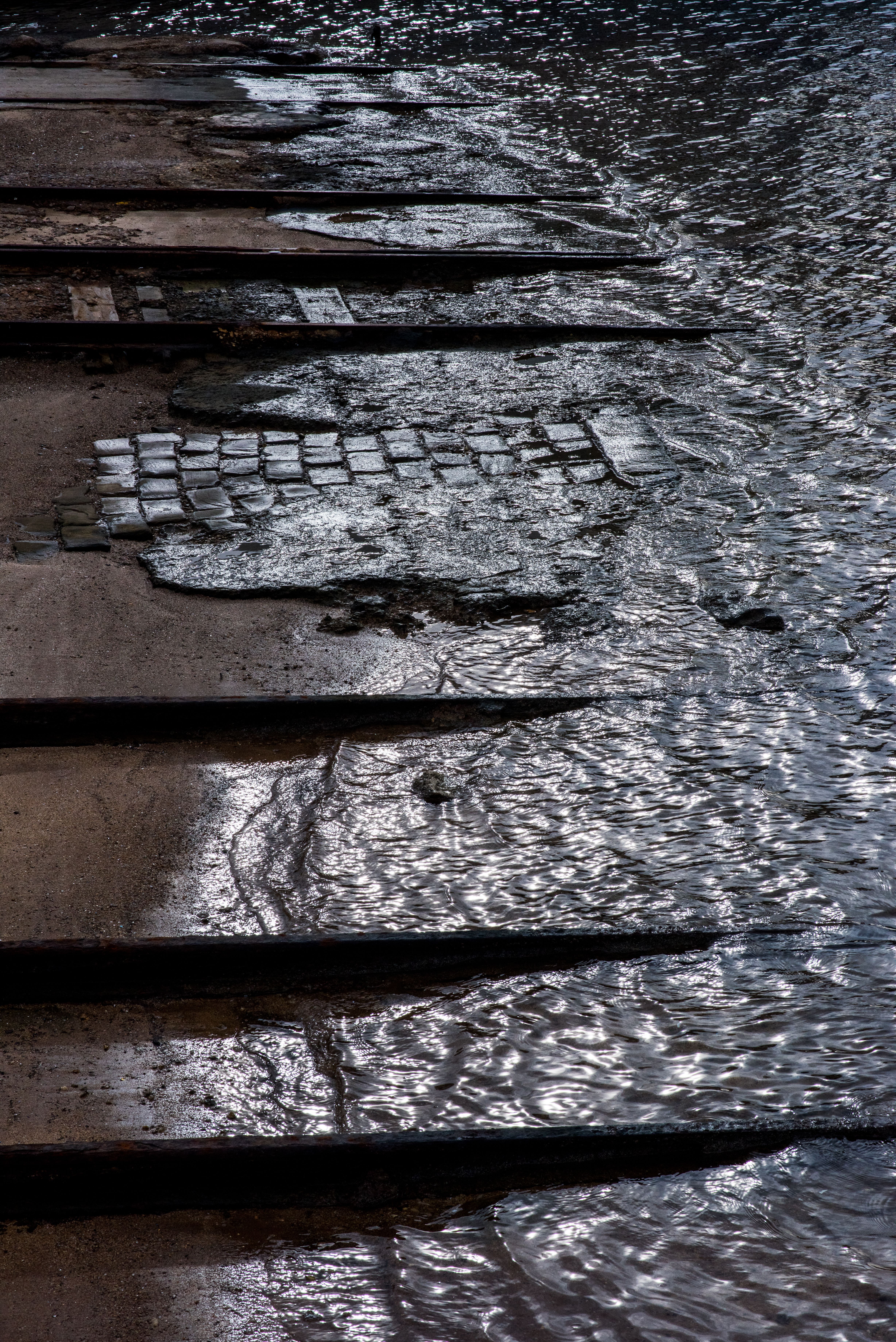 Textured Wet Steps Leading into Water · Free Stock Photo