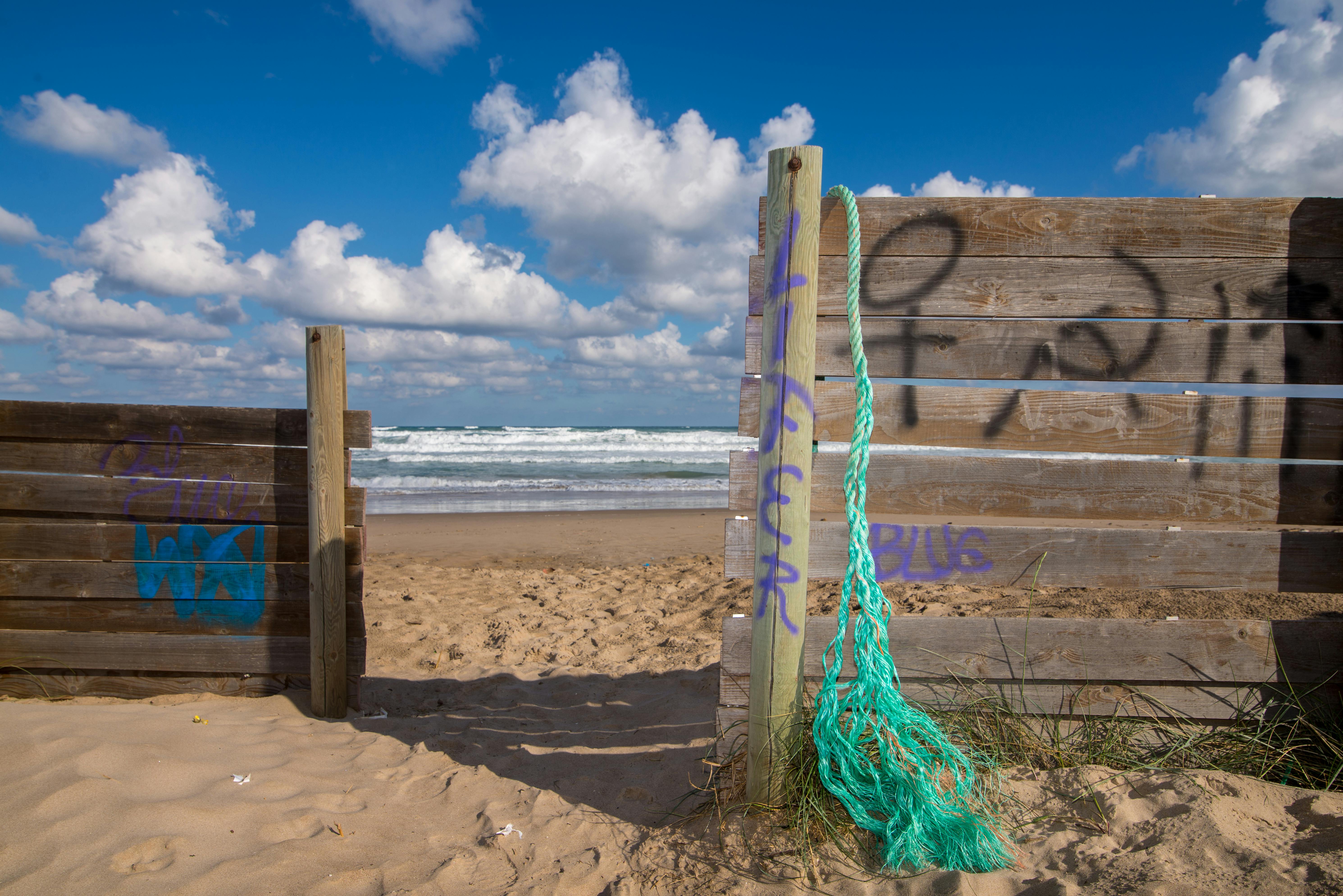 Summer Texture Photos, Download The BEST Free Summer Texture Stock ...