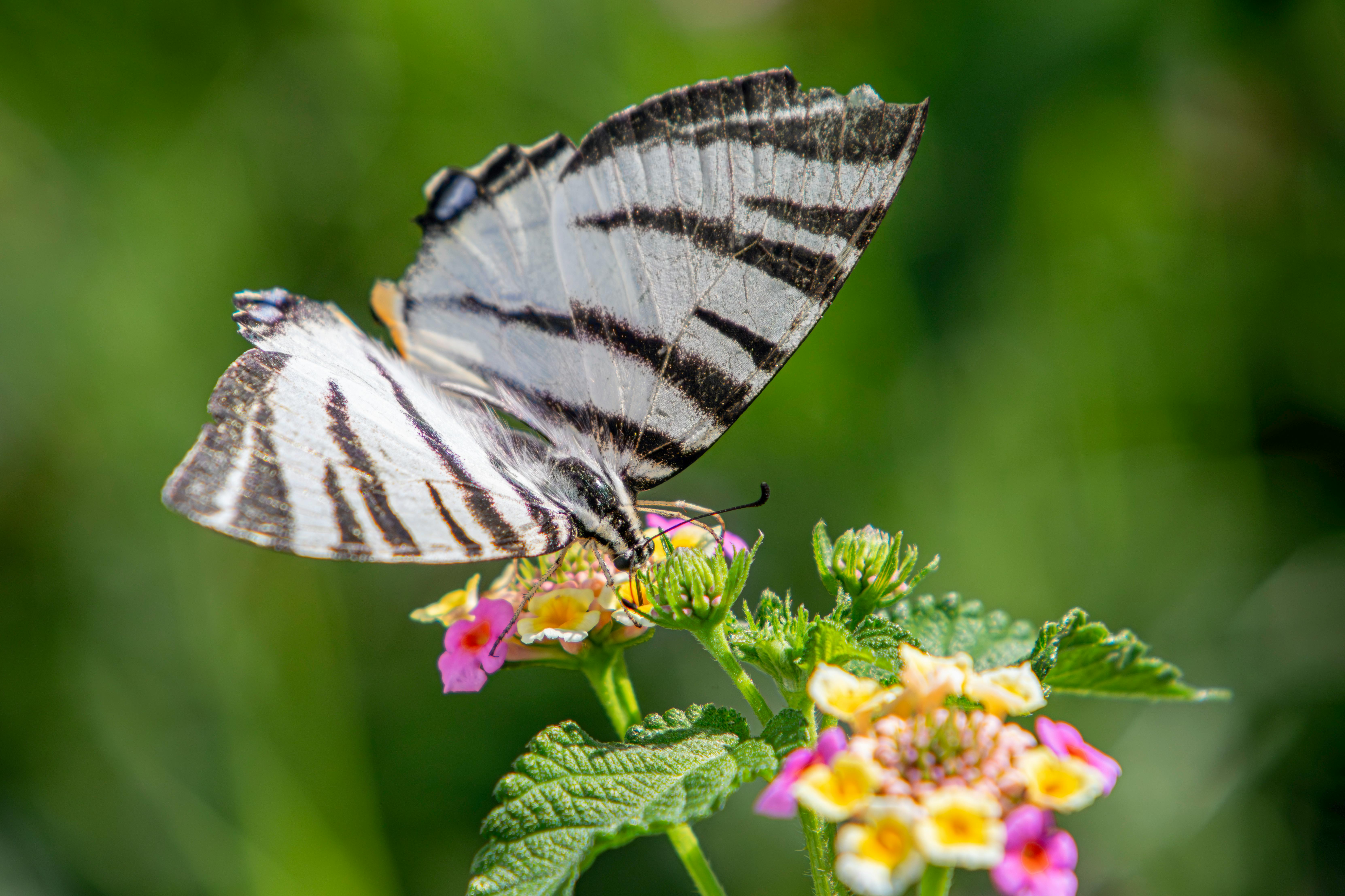 Side Paedagogik Familiehjaelp Photos, Download The BEST Free Side ...