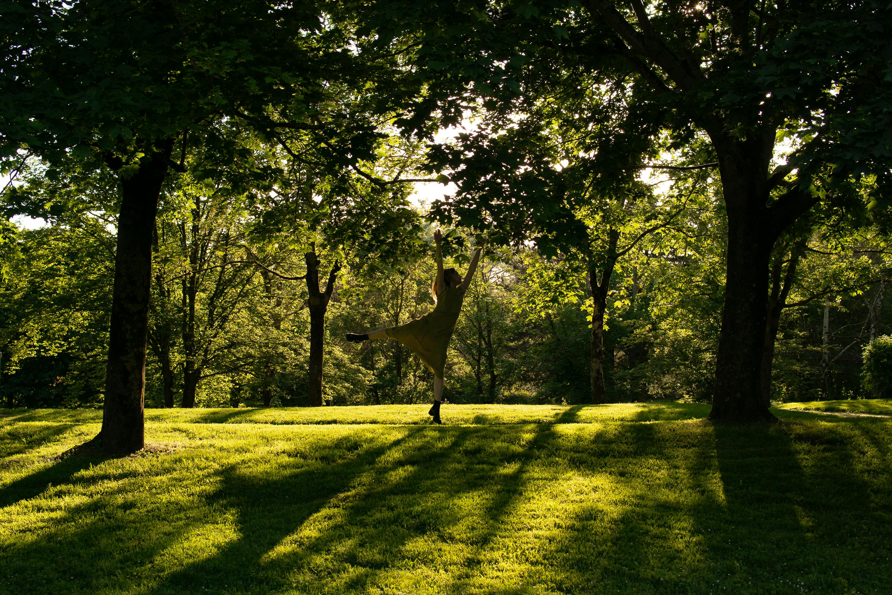 Cottage Core Photos, Download The BEST Free Cottage Core Stock Photos ...