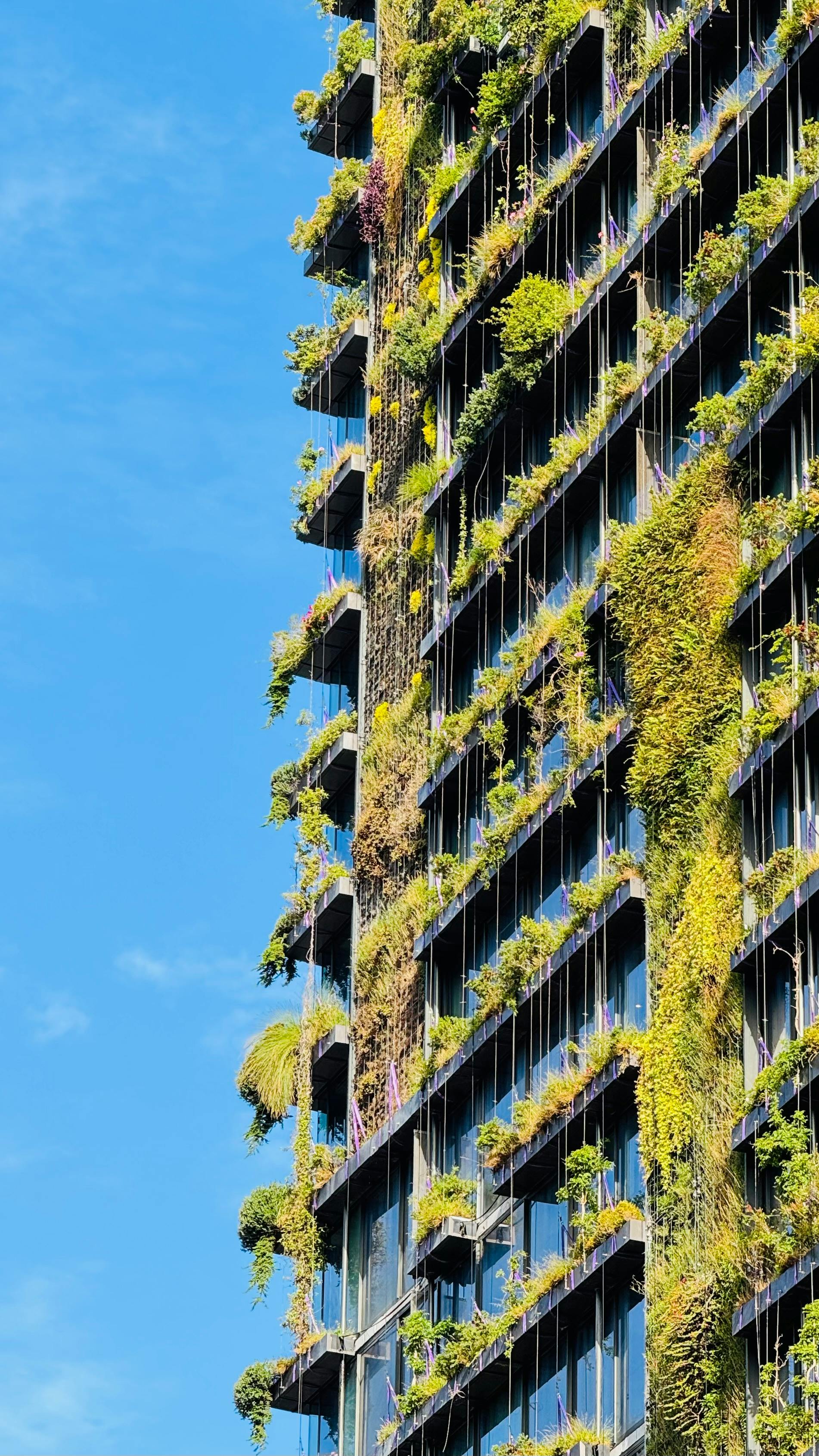 Eco-friendly Skyscraper with Vertical Garden in Sydney · Free Stock Photo