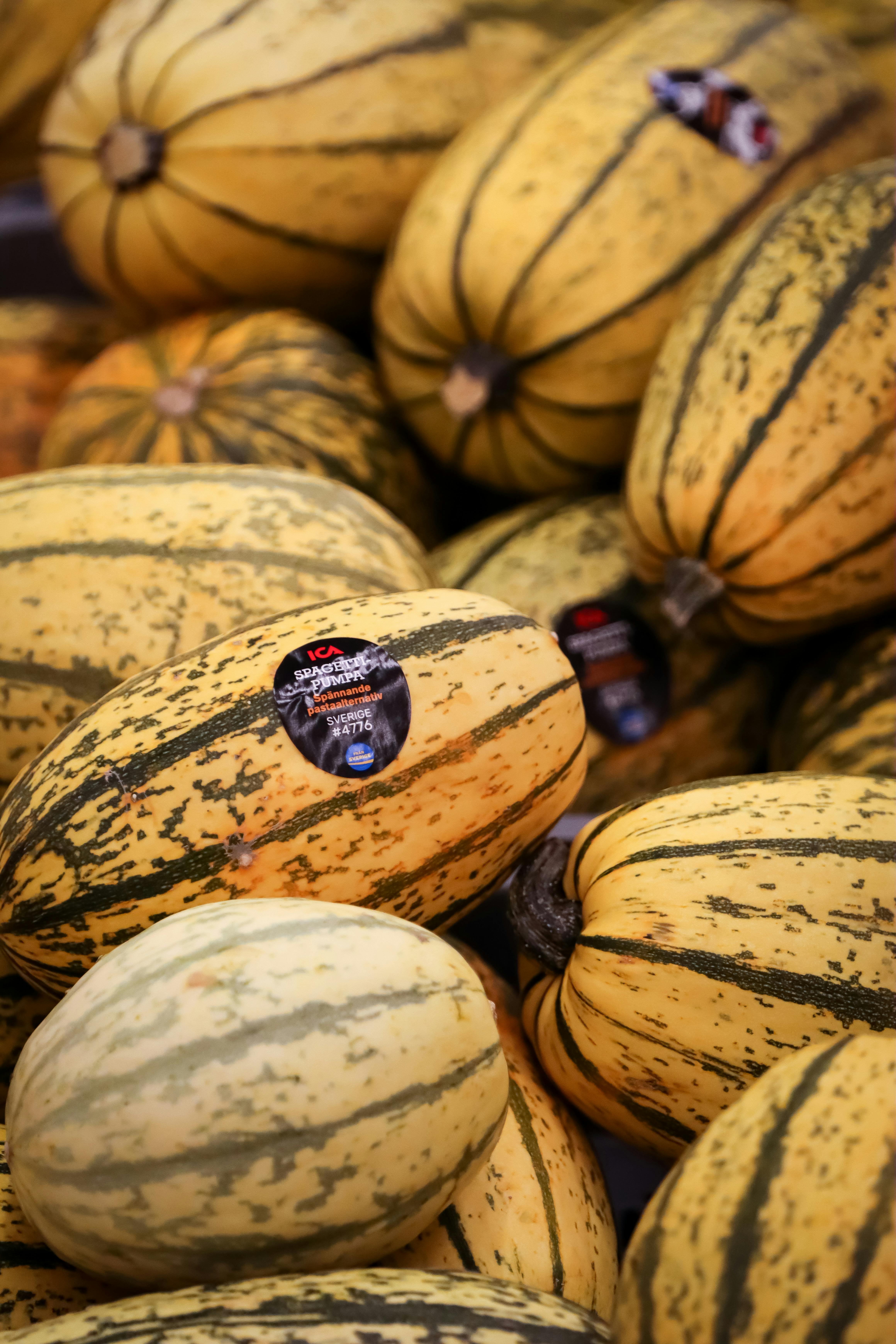 Close-up of Striped Squash Varieties in Sweden · Free Stock Photo