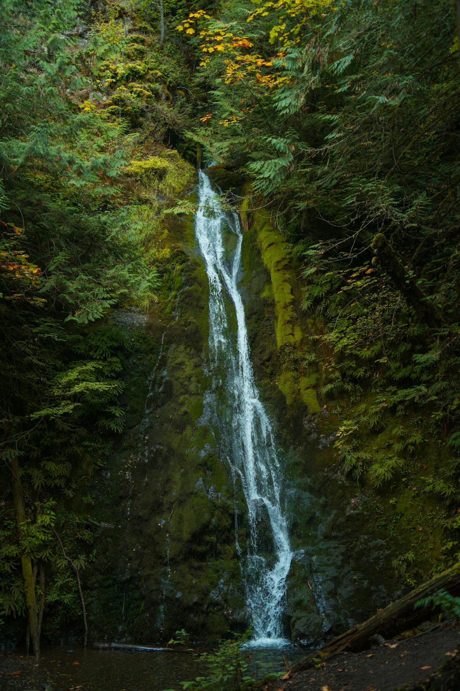 Angel Waterfall Photos, Download The BEST Free Angel Waterfall Stock ...