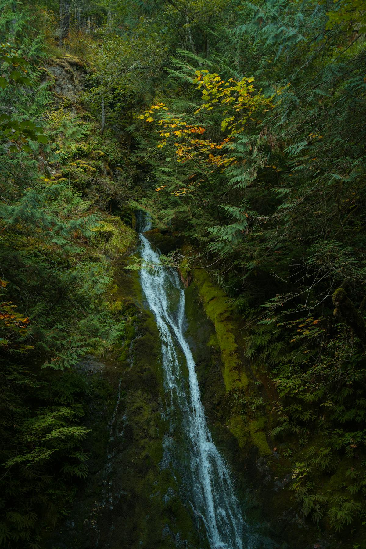 Angel Waterfall Photos, Download The BEST Free Angel Waterfall Stock ...