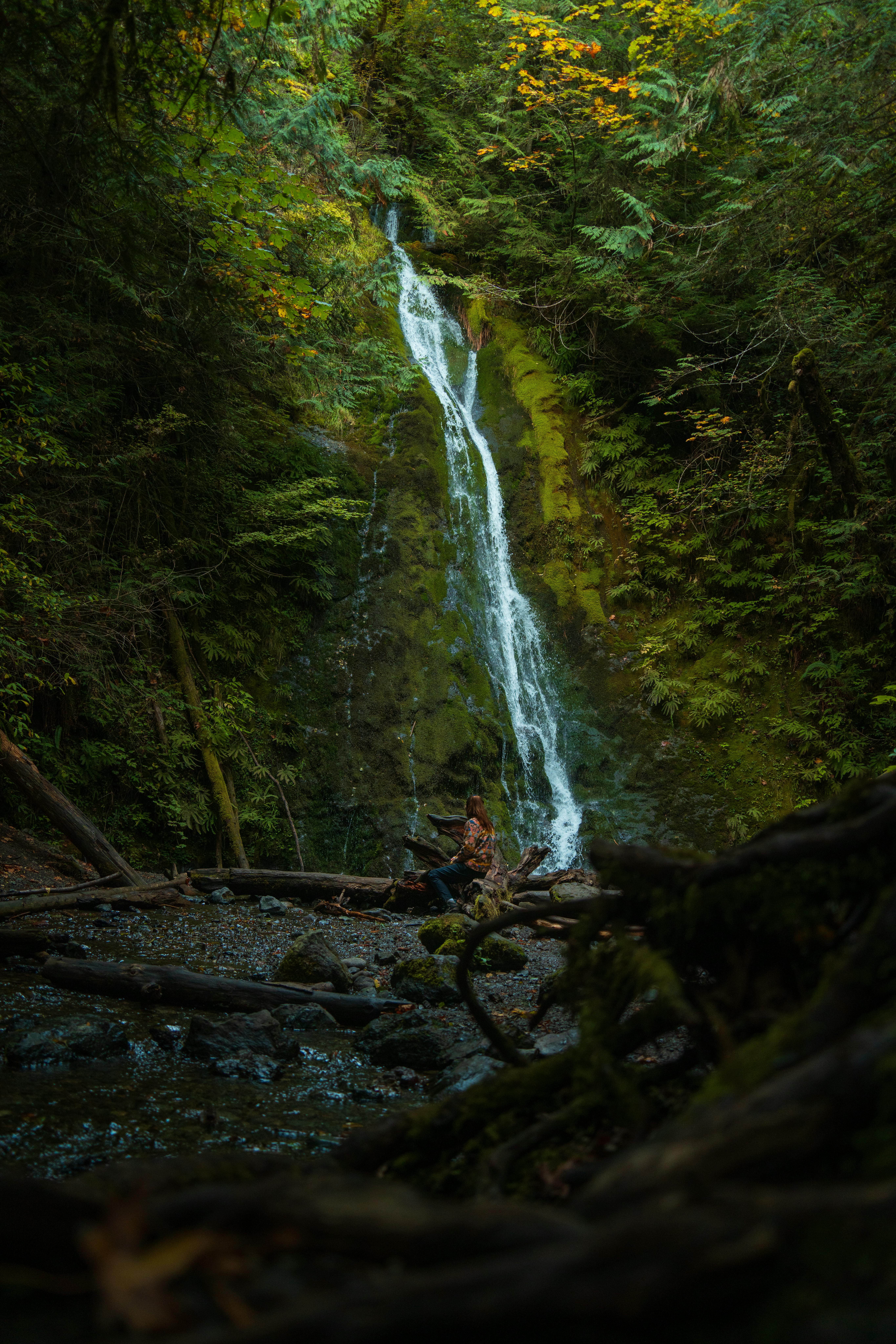 Tranquil Waterfall in Washington State Forest · Free Stock Photo