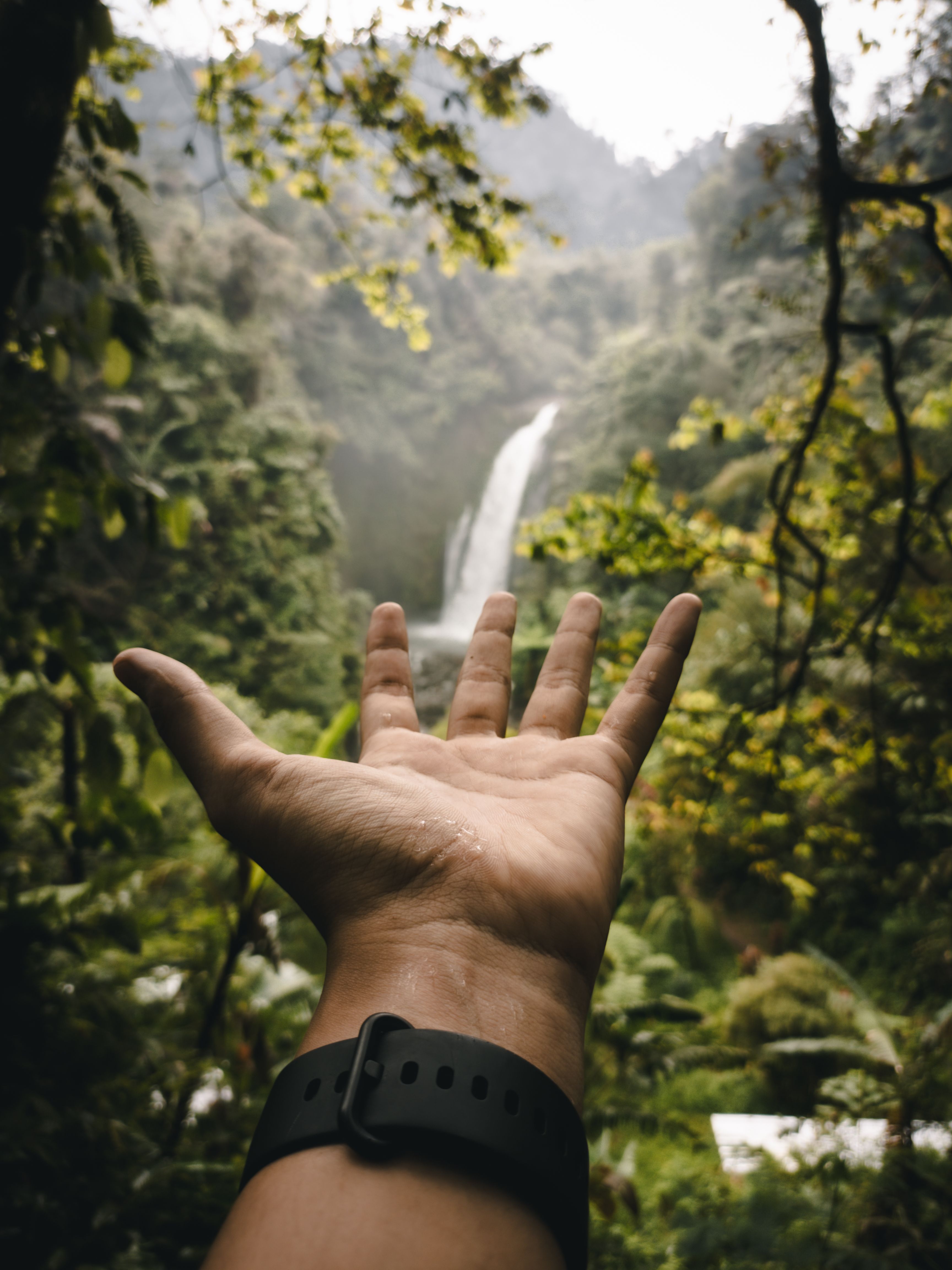 Hand Reaching Toward Scenic Jungle Waterfall · Free Stock Photo
