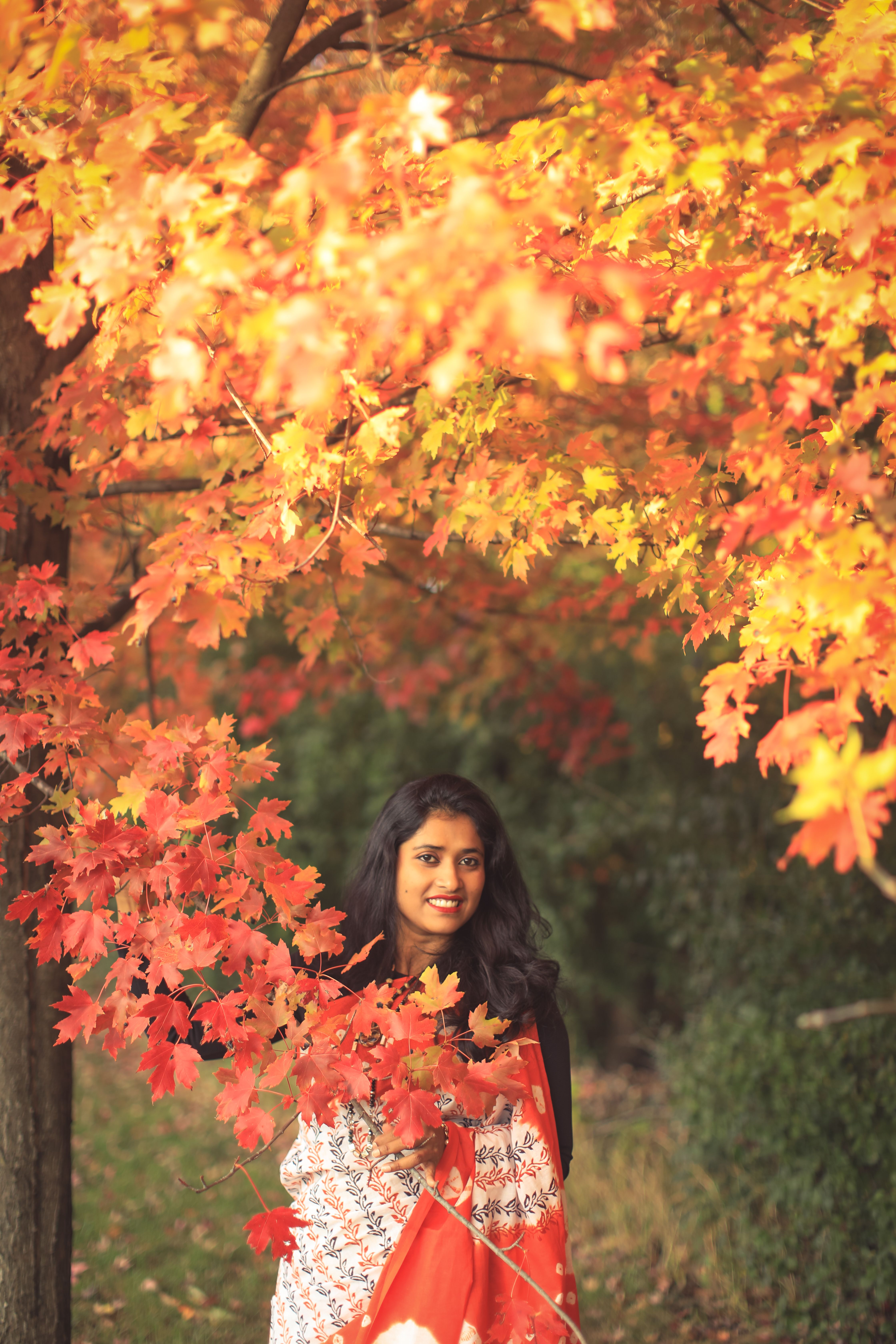 Portrait of Woman in Autumn Maple Leaves · Free Stock Photo