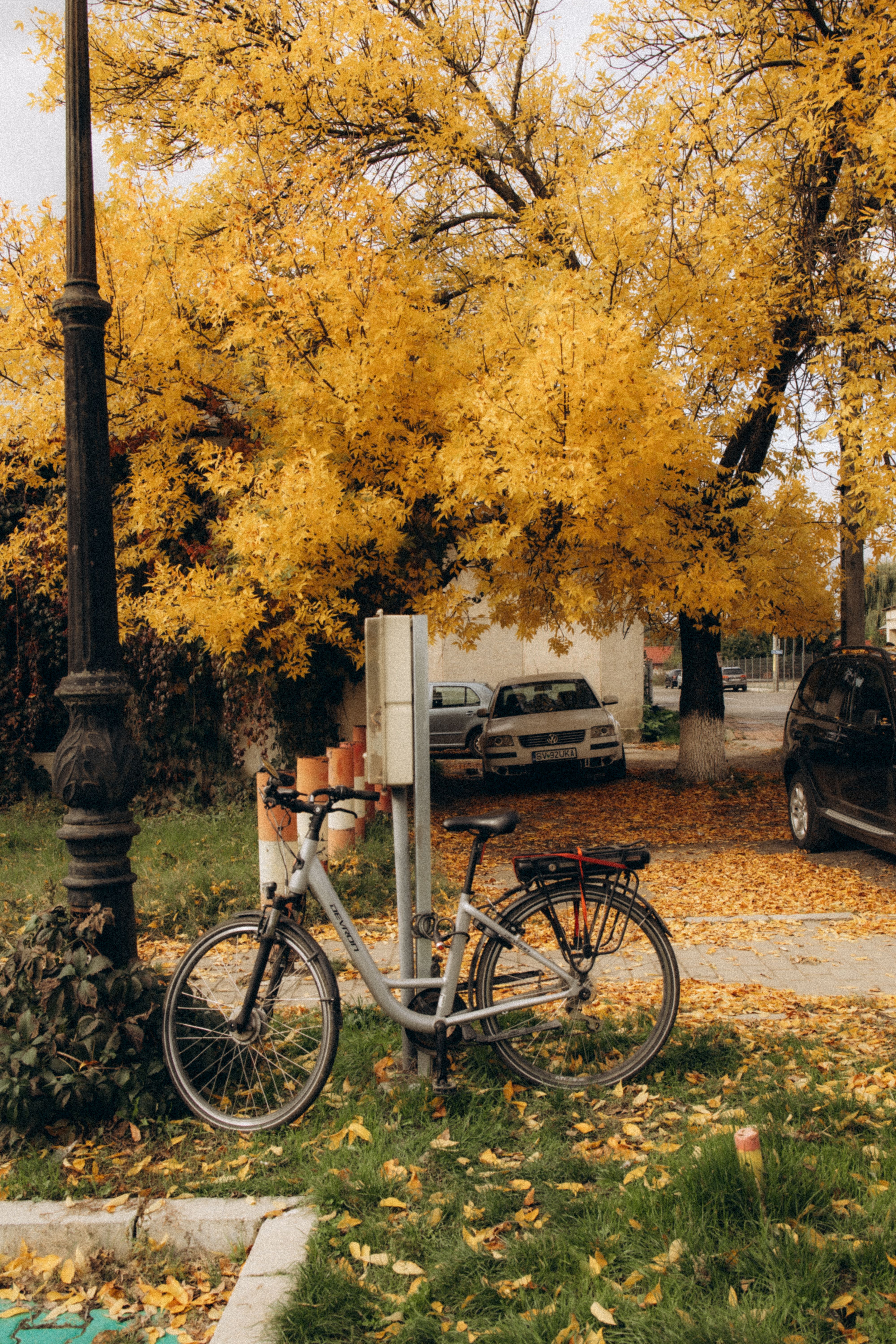 Bicycle by Autumn Trees and Street Scene · Free Stock Photo