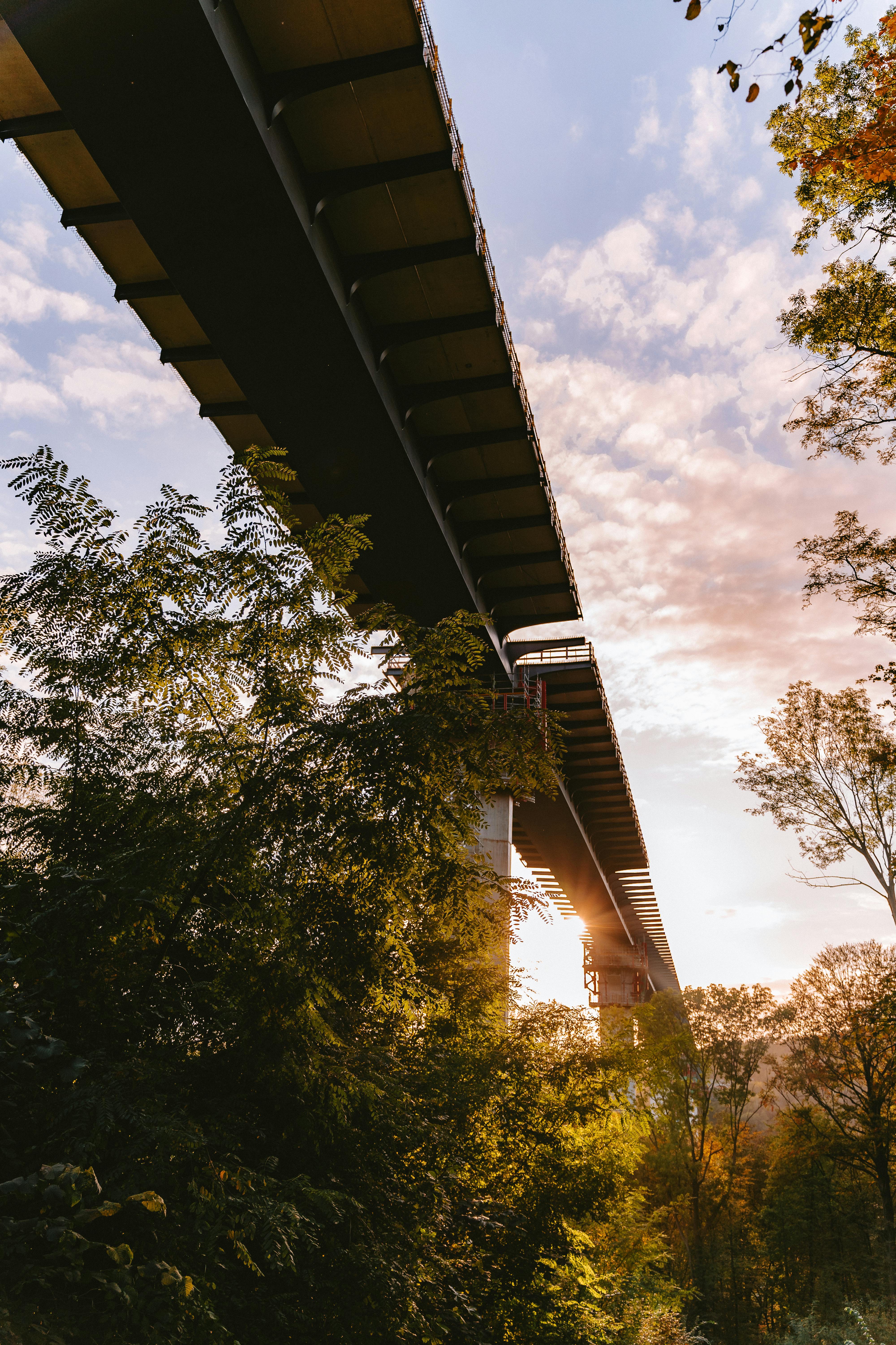 Dramatic Bridge Over Lush Forest in Pirna · Free Stock Photo