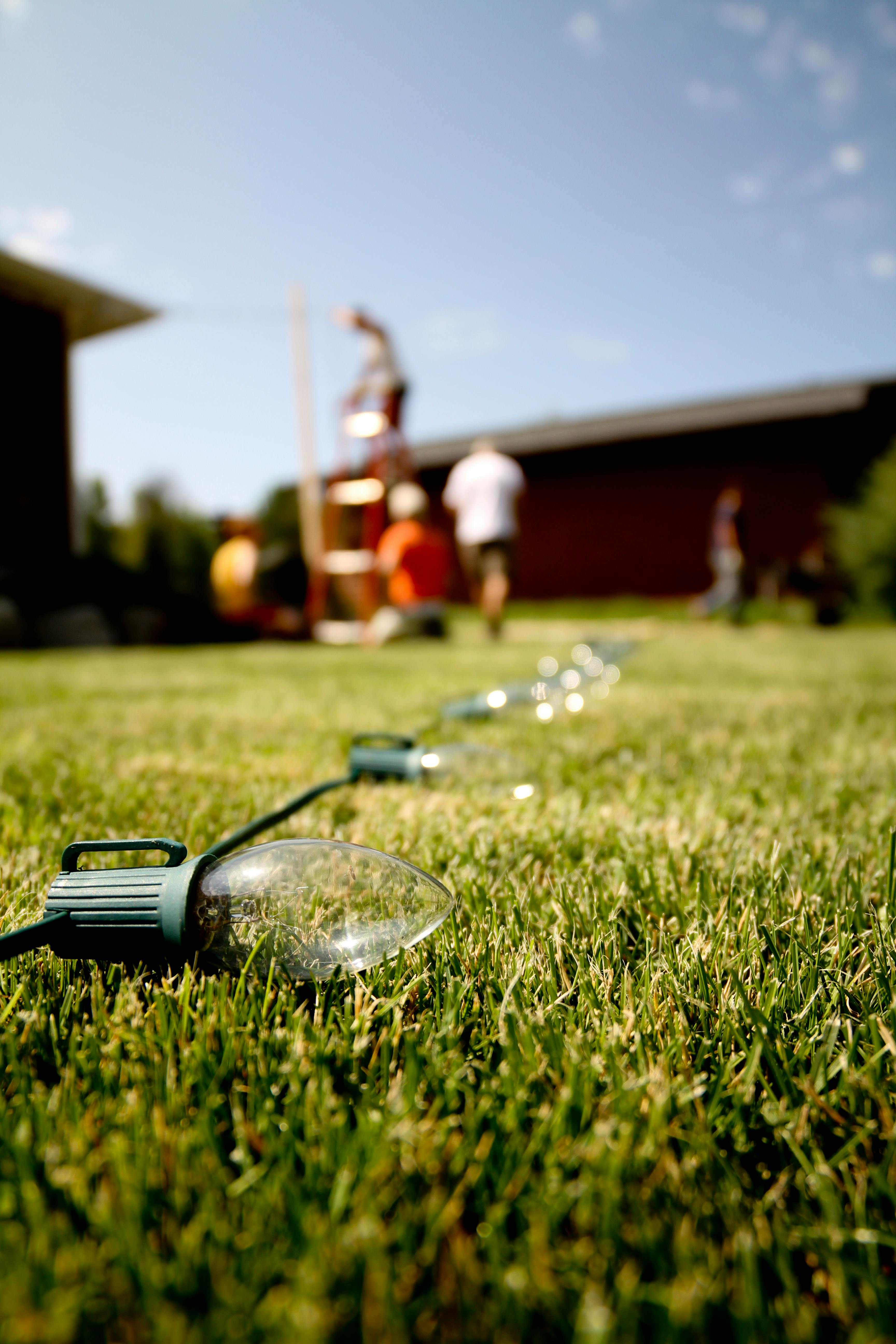 Close-Up Photo of String Lights on Grass Field · Free Stock Photo