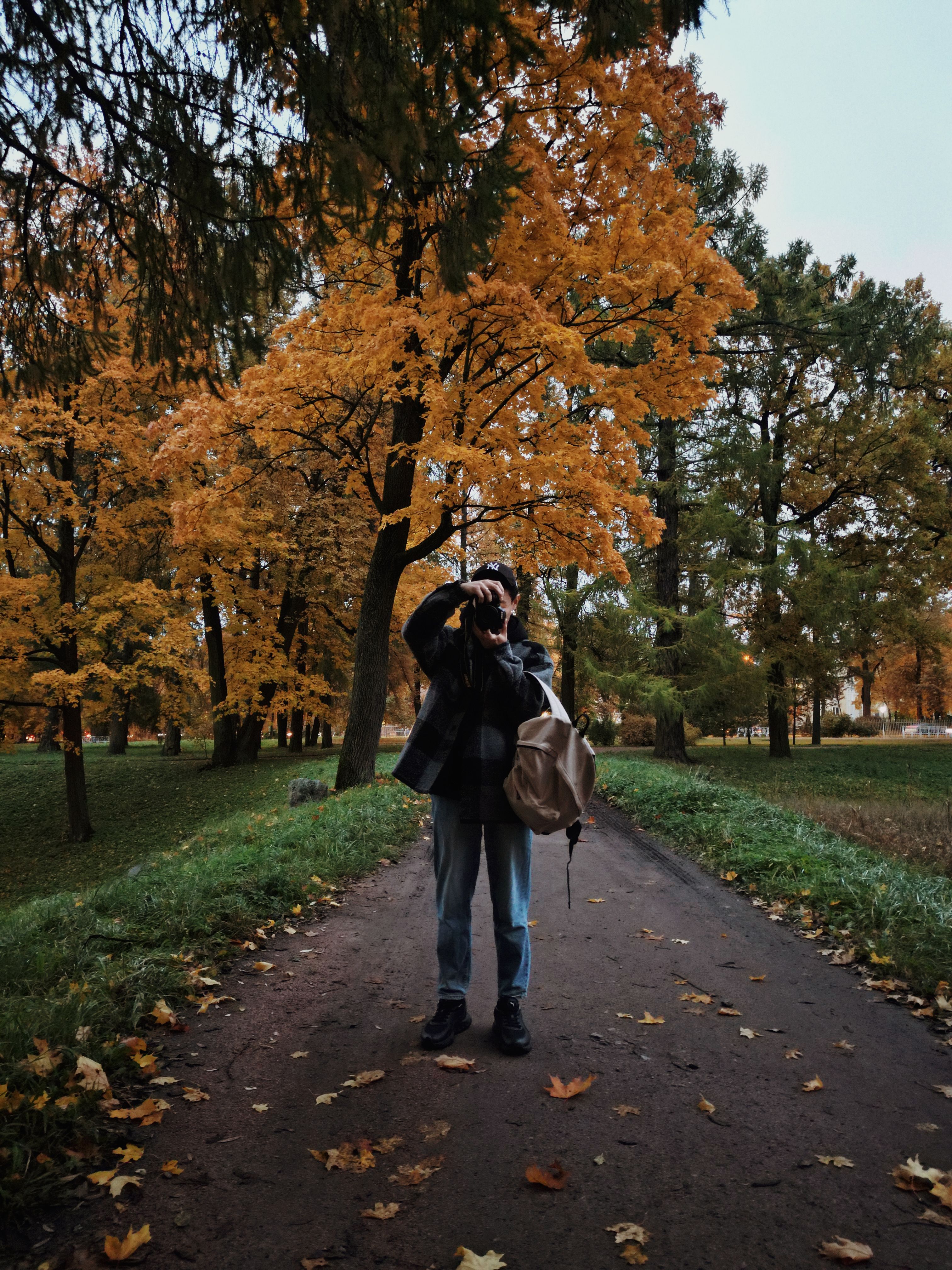 Autumn Photographer in Scenic Park Pathway · Free Stock Photo
