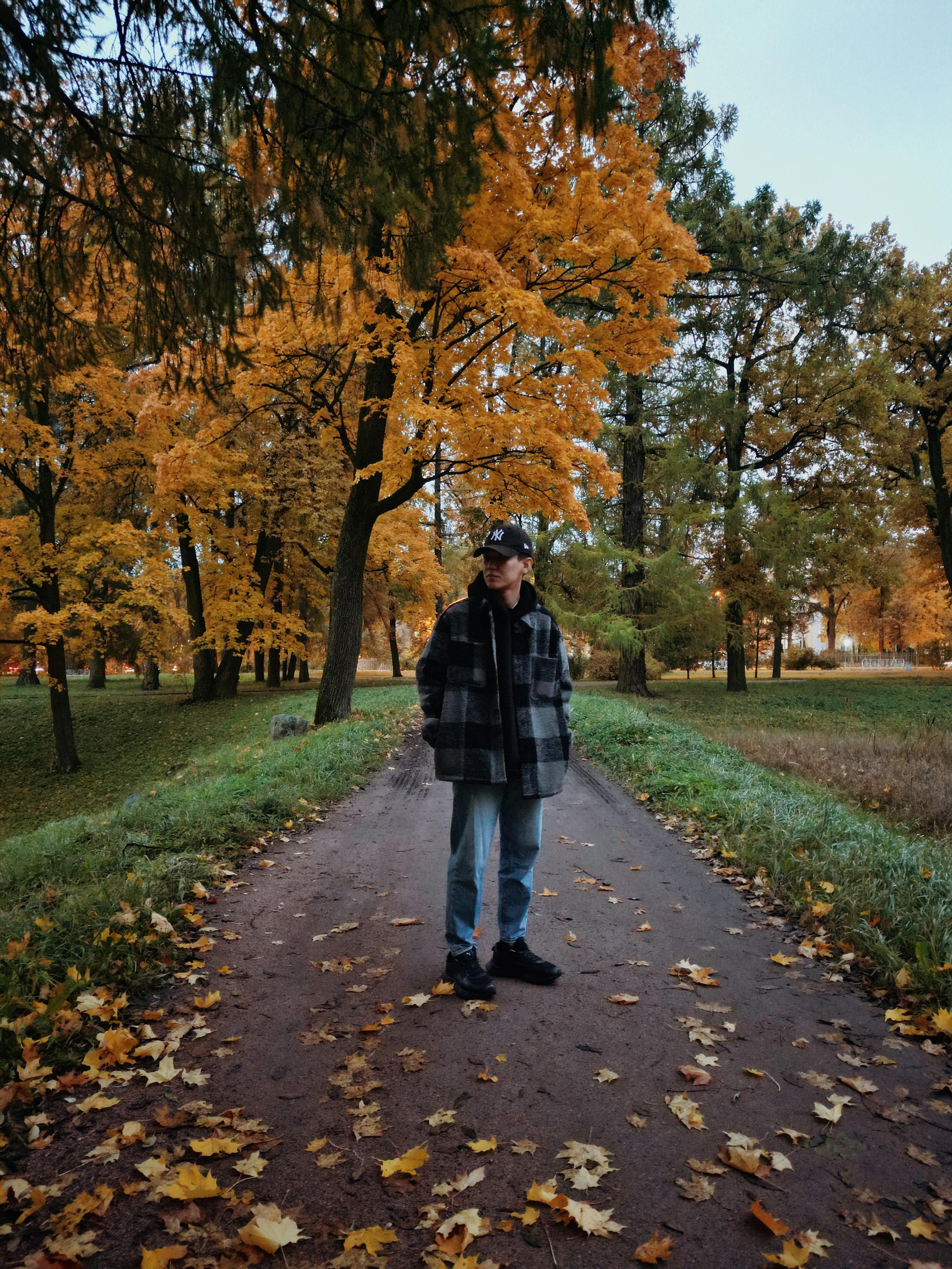 Young Adult in Autumn Park Pathway Scene · Free Stock Photo