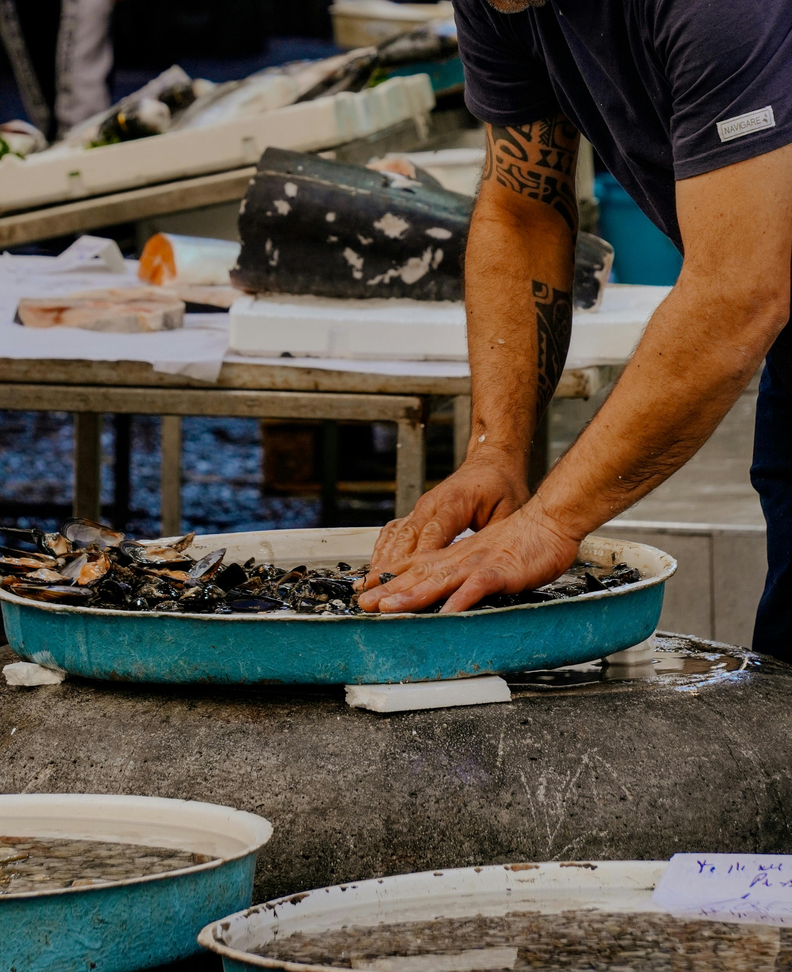 Sorting Photos, Download The BEST Free Sorting Stock Photos & HD Images