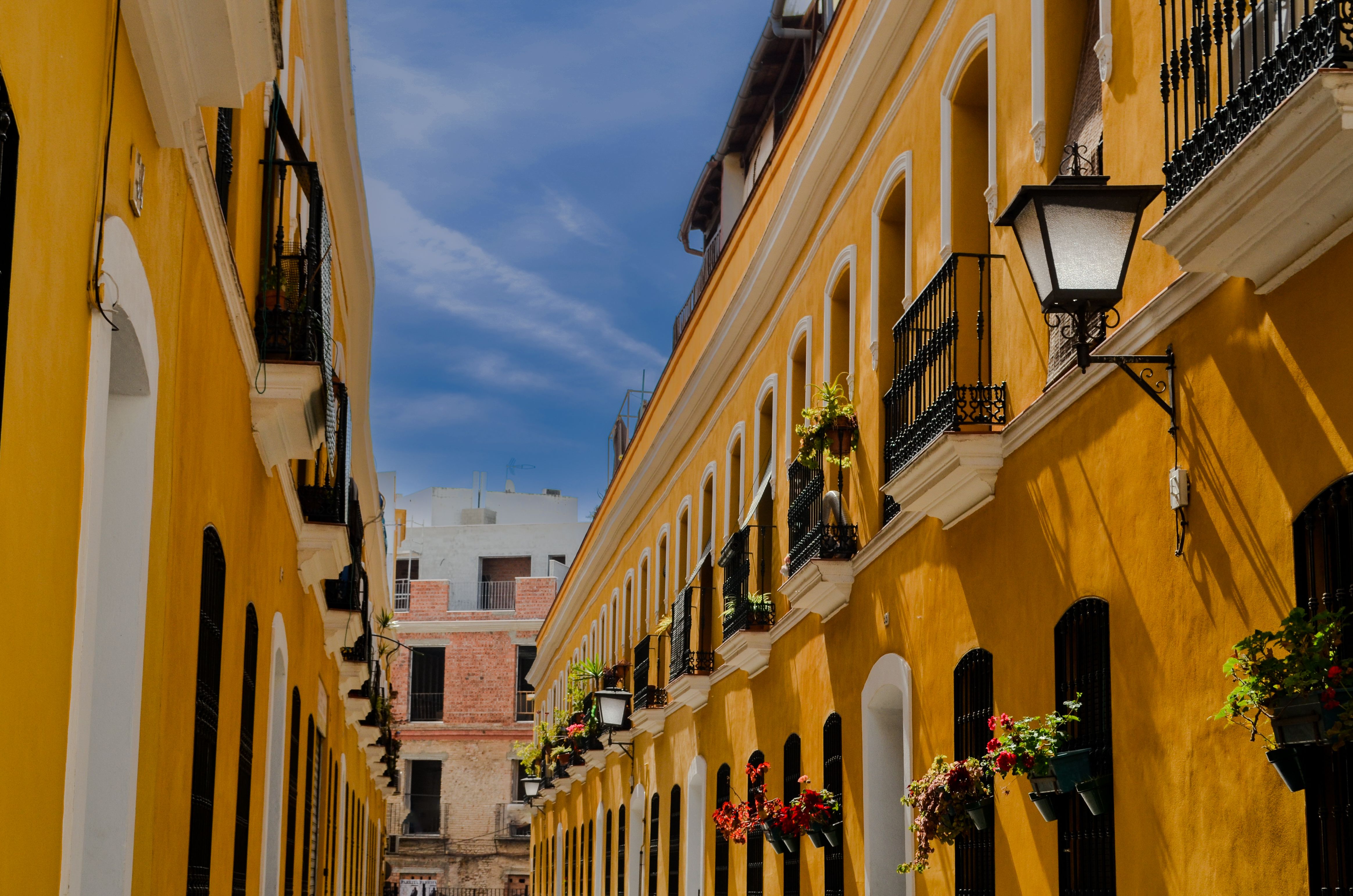 Charming Yellow Streets of Seville, Spain · Free Stock Photo