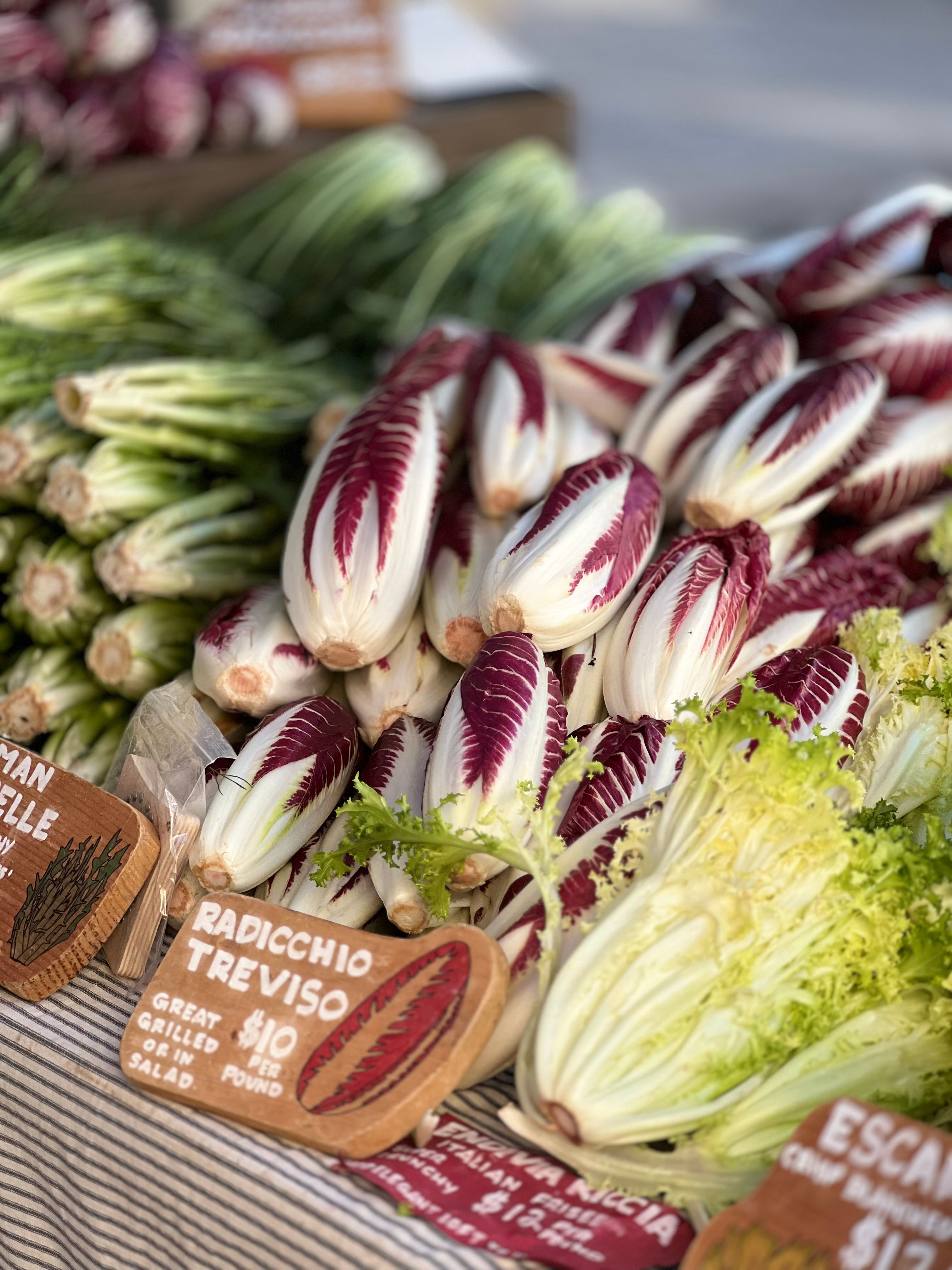 Radicchio Treviso on Display at Farmers Market · Free Stock Photo