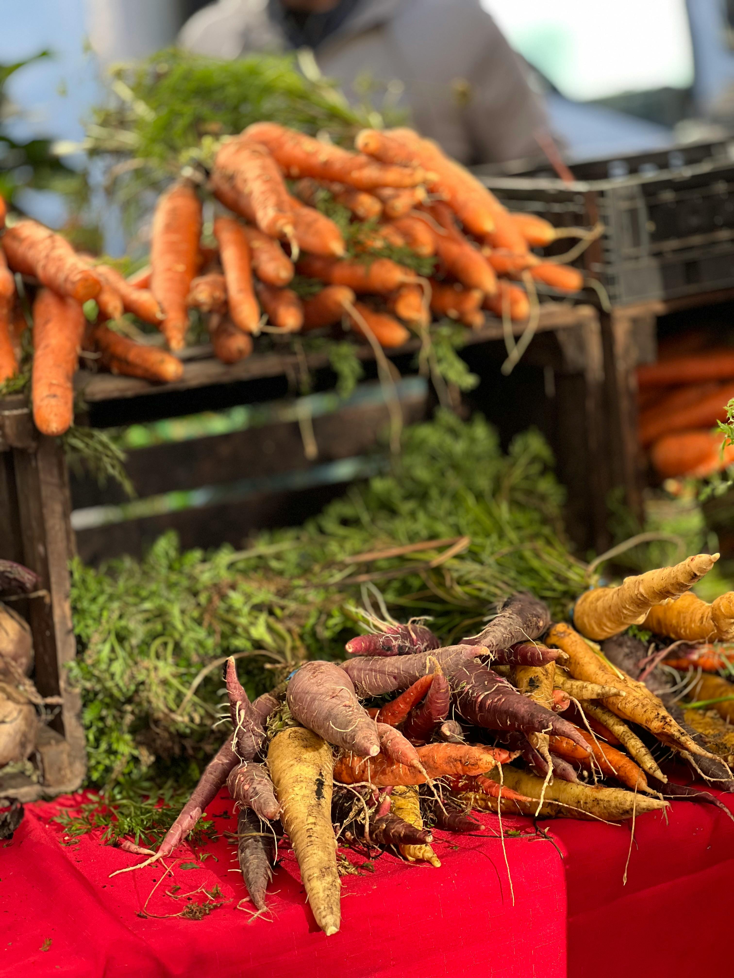 Colorful Carrots Displayed at Farmers Market · Free Stock Photo