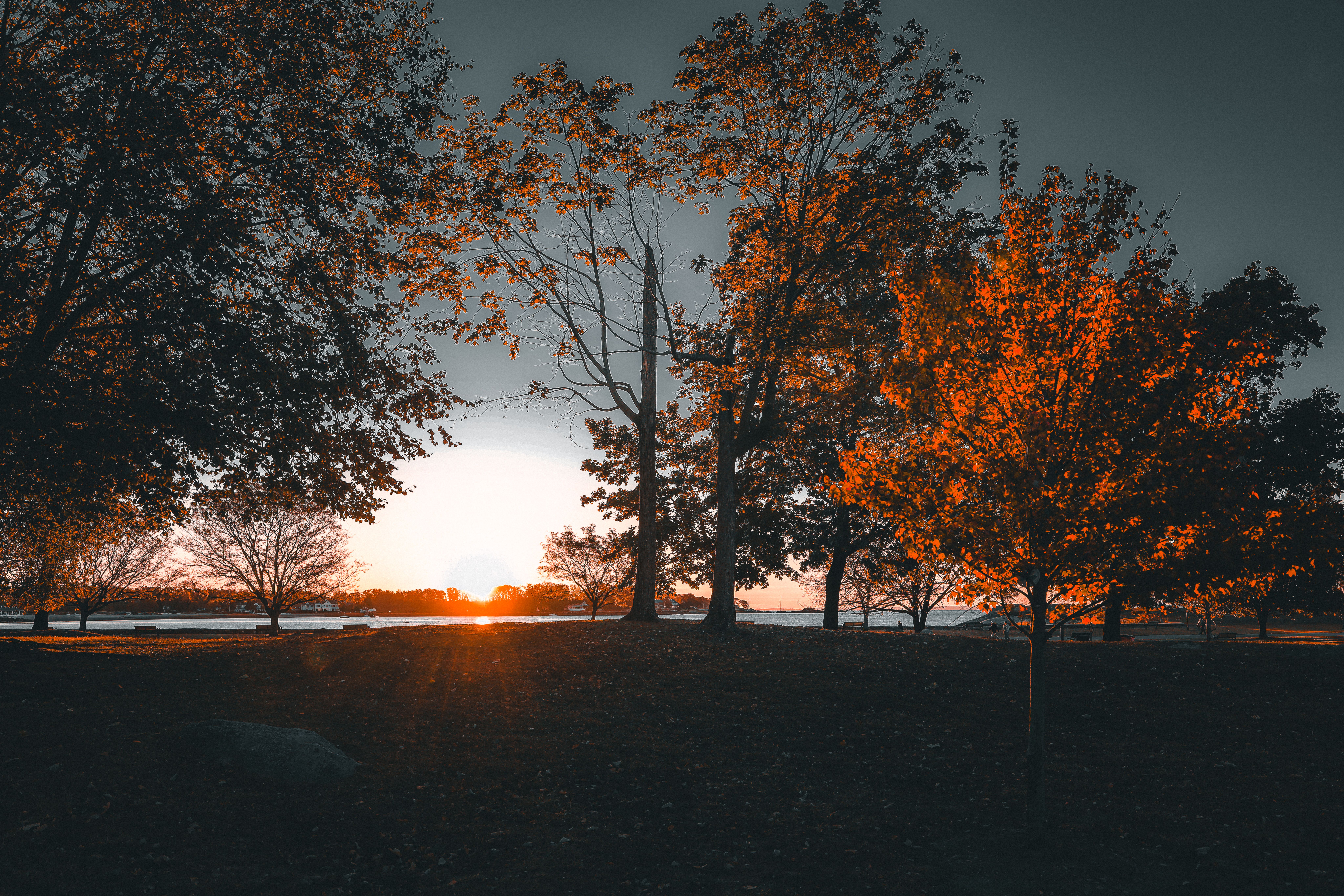 Serene Autumn Sunrise in Stamford Park · Free Stock Photo