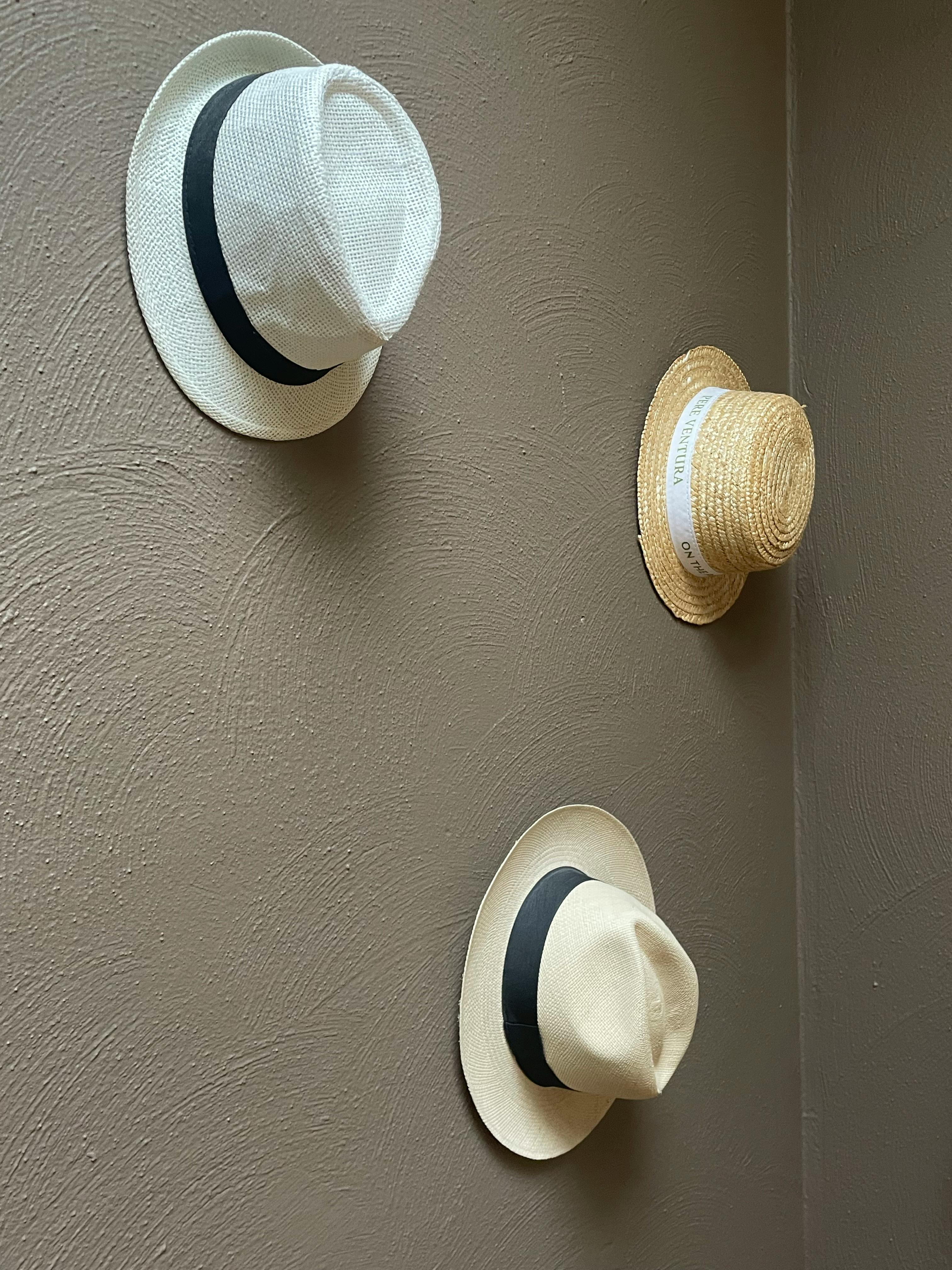 Trio of Stylish Hats on Wall Display · Free Stock Photo