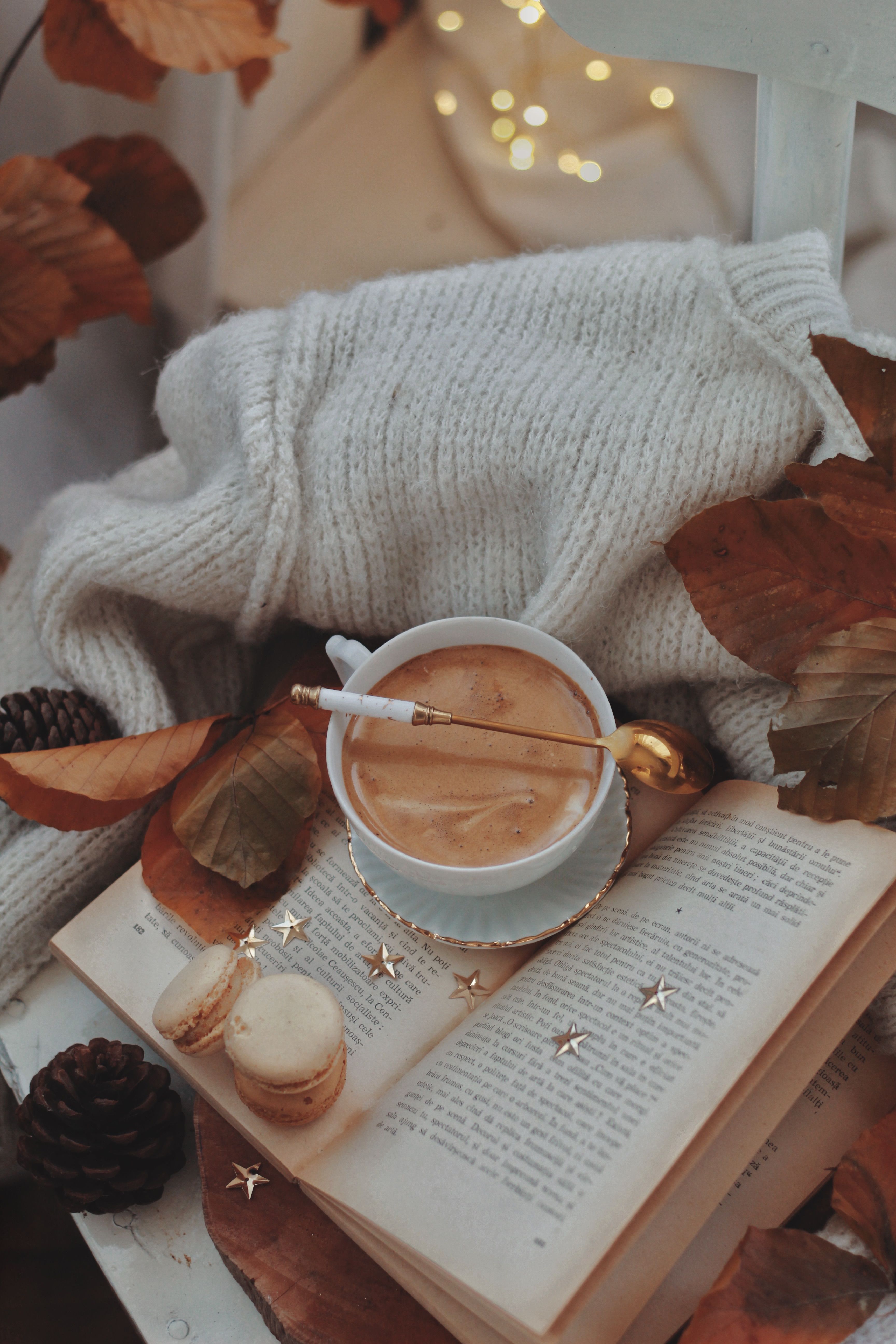 Cozy Autumn Setting with Coffee and Book · Free Stock Photo