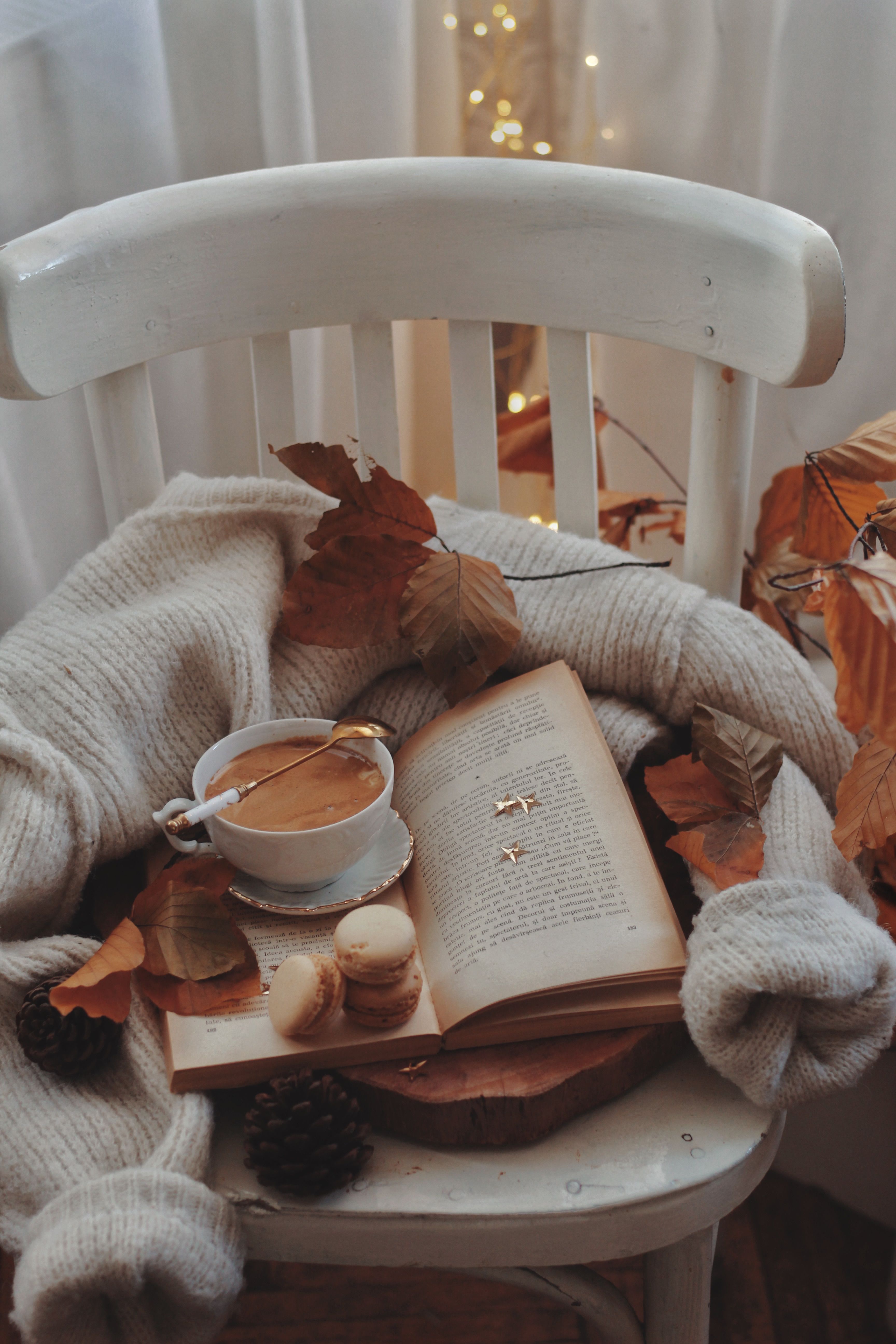 Cozy Autumn Scene with Coffee and Book · Free Stock Photo