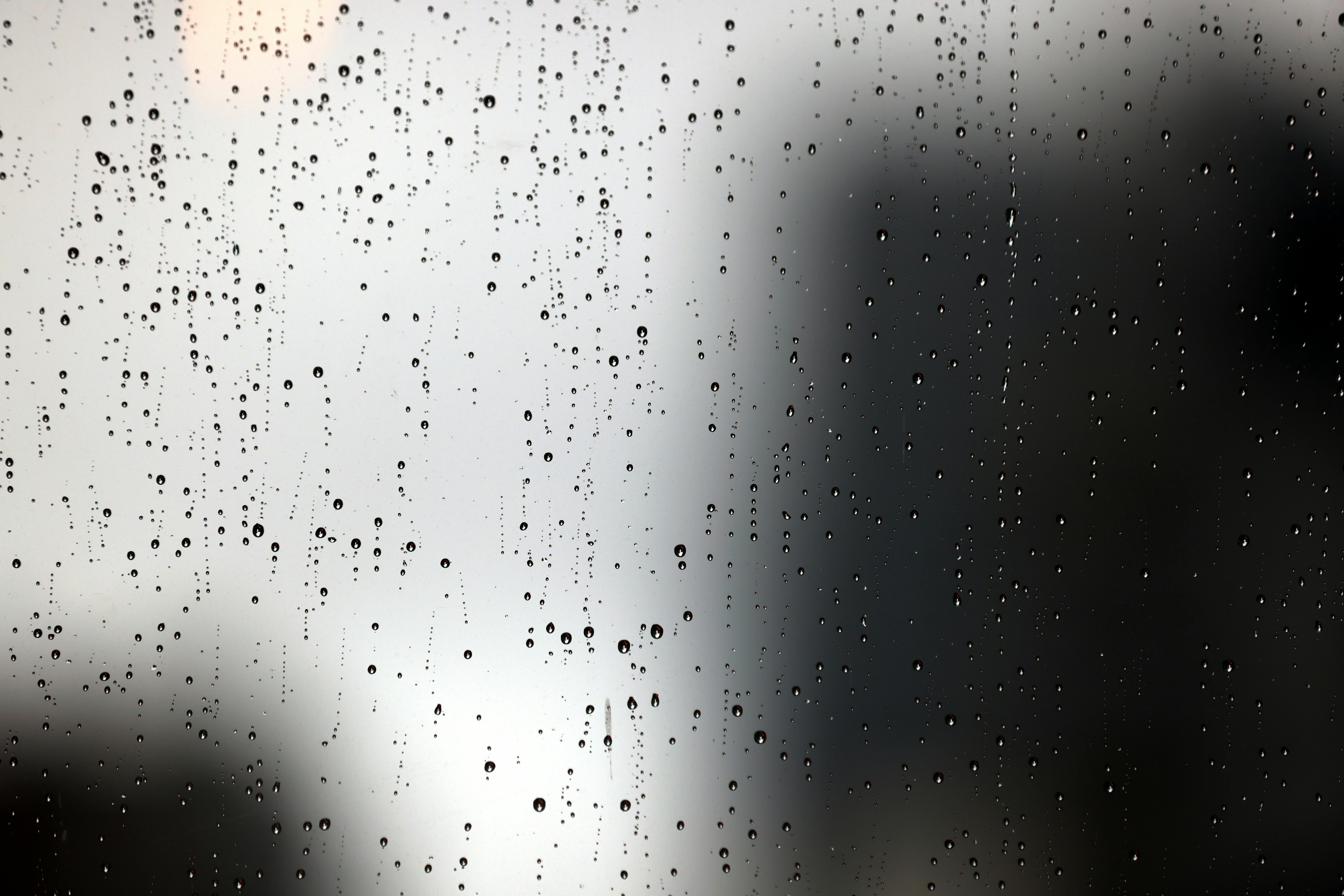 Moist Glass Window · Free Stock Photo