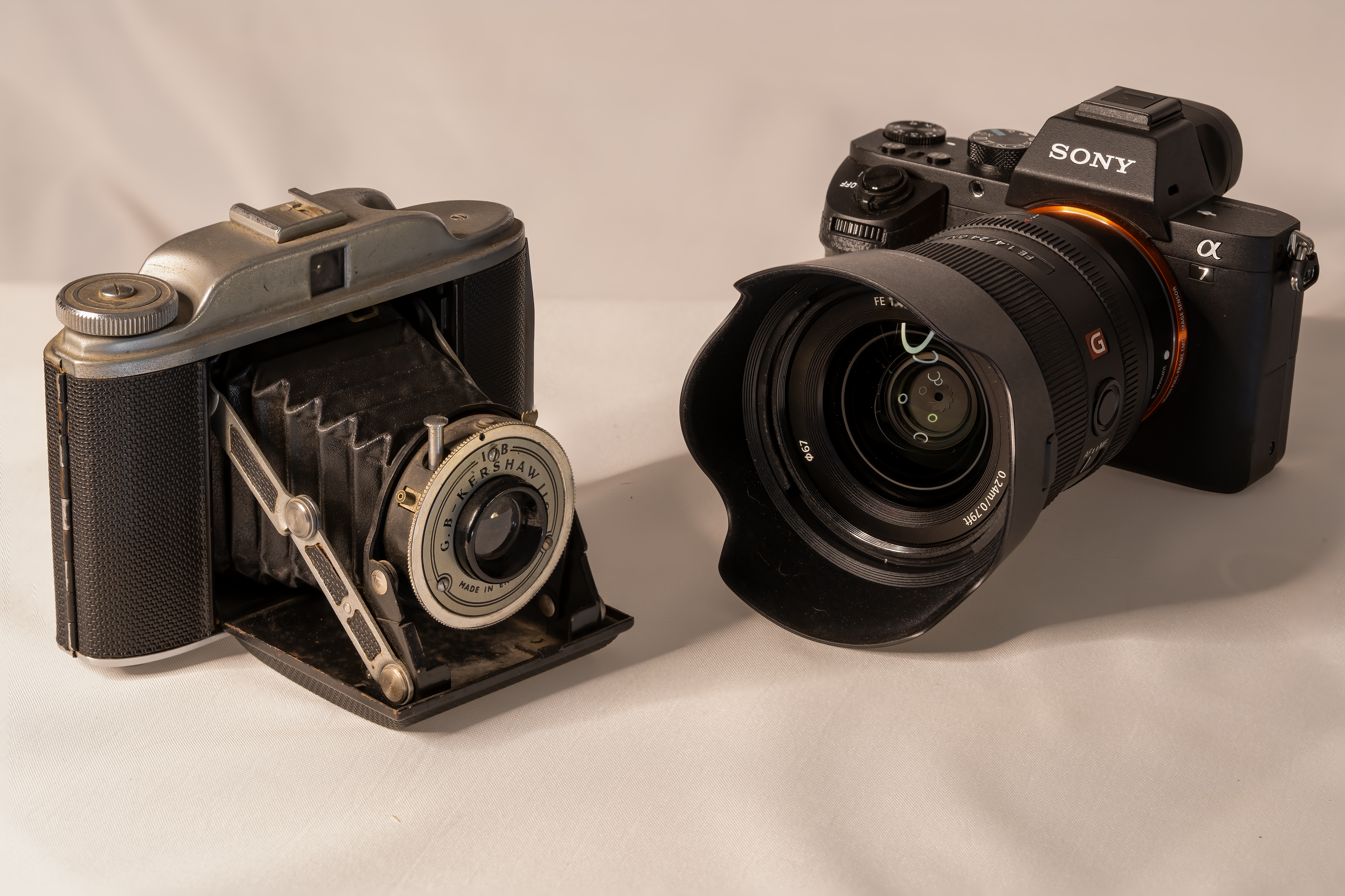 Vintage and Modern Cameras on Display · Free Stock Photo