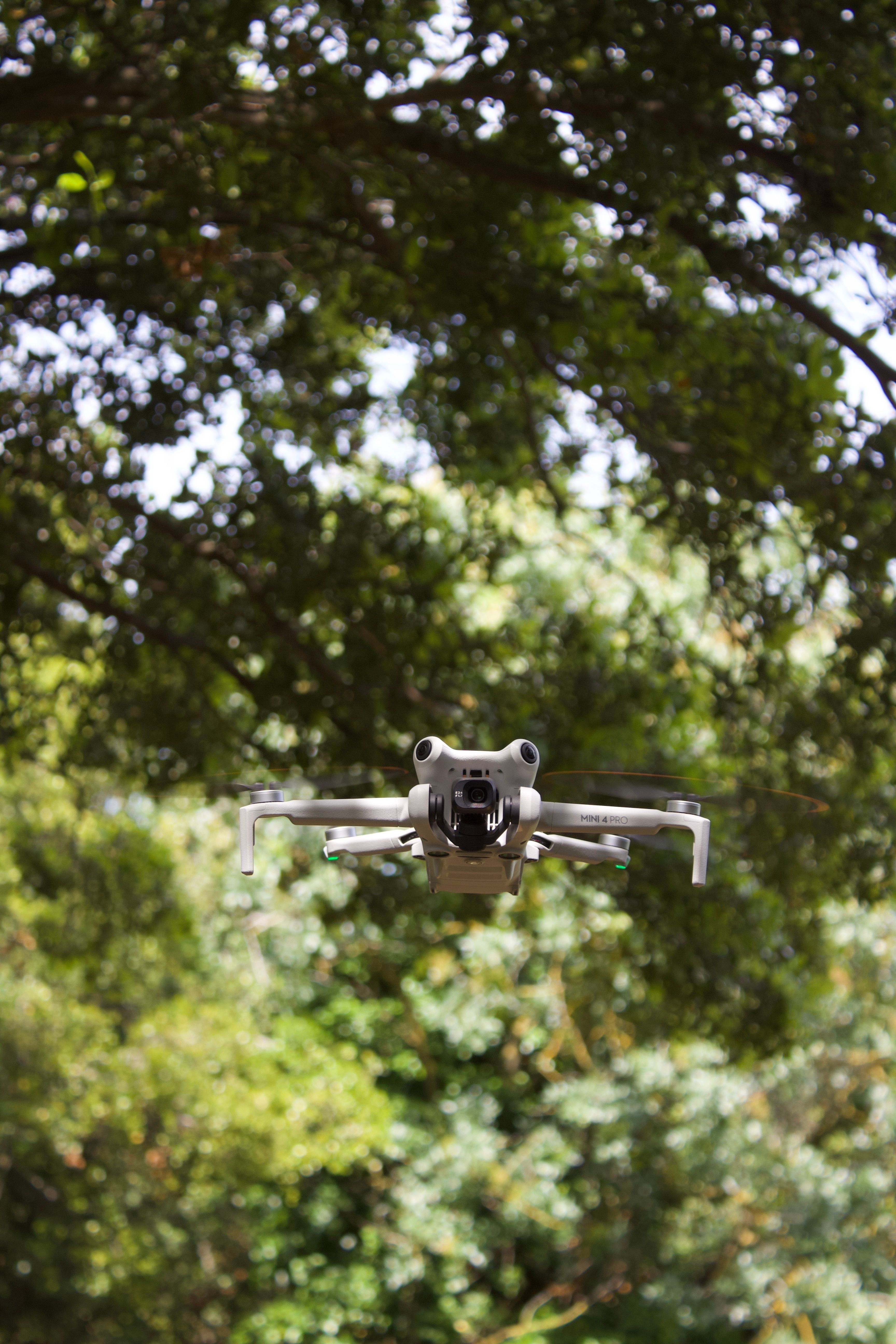 Drone Flying in Lush Green Forest Outdoors · Free Stock Photo