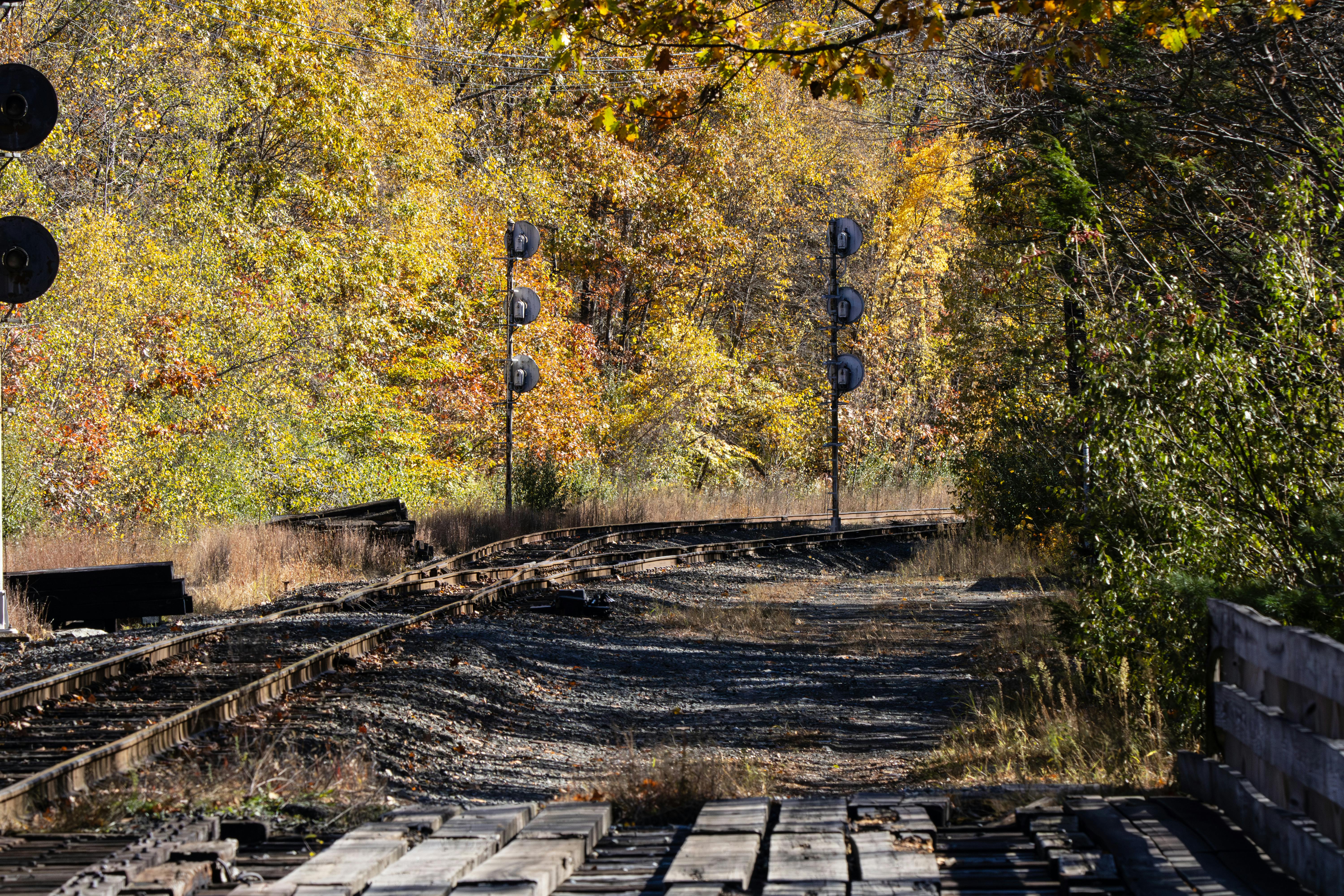 Scenic Autumn Railway Tracks with Signals · Free Stock Photo