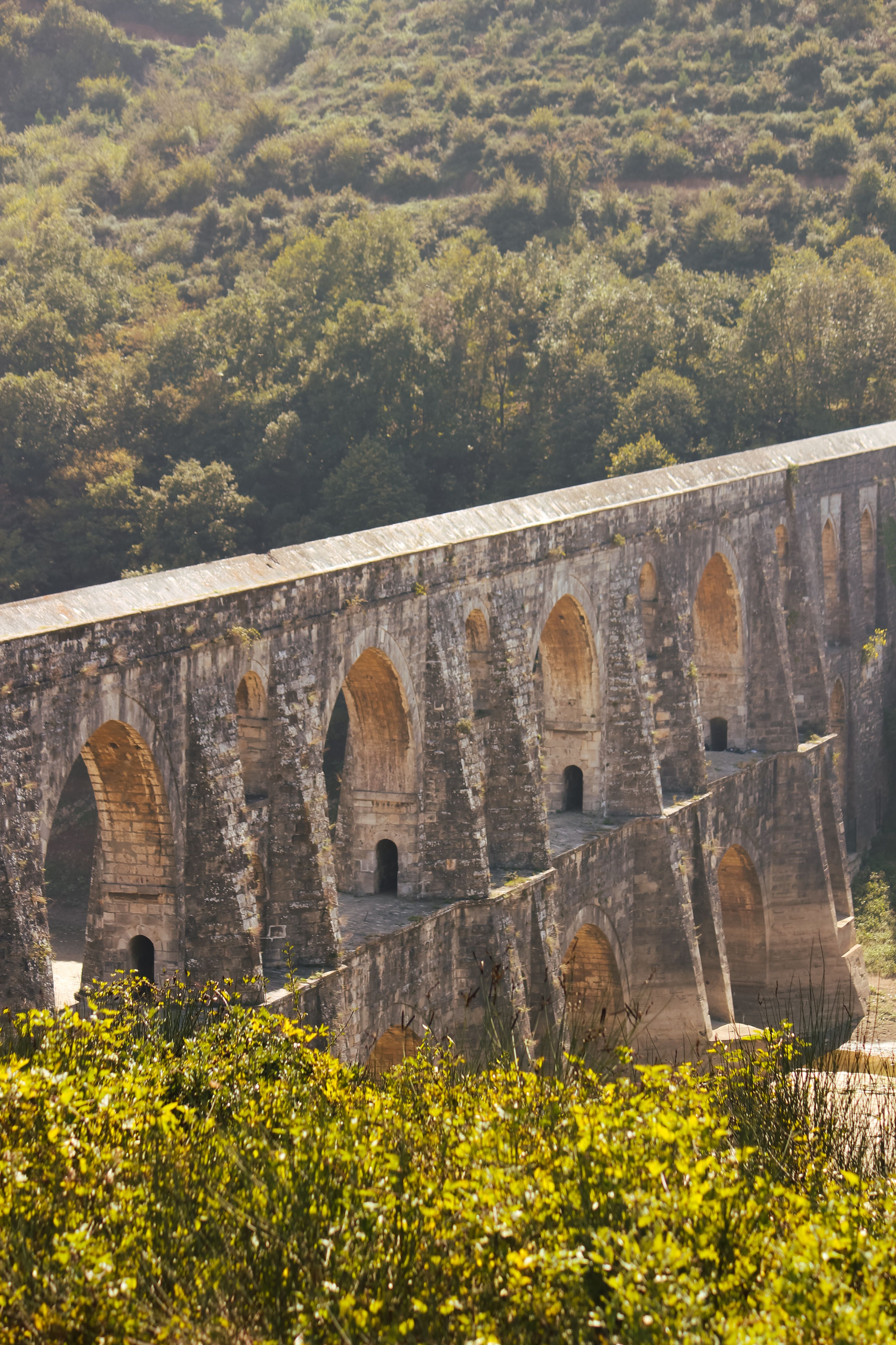 Ancient Stone Aqueduct in Lush Greenery · Free Stock Photo