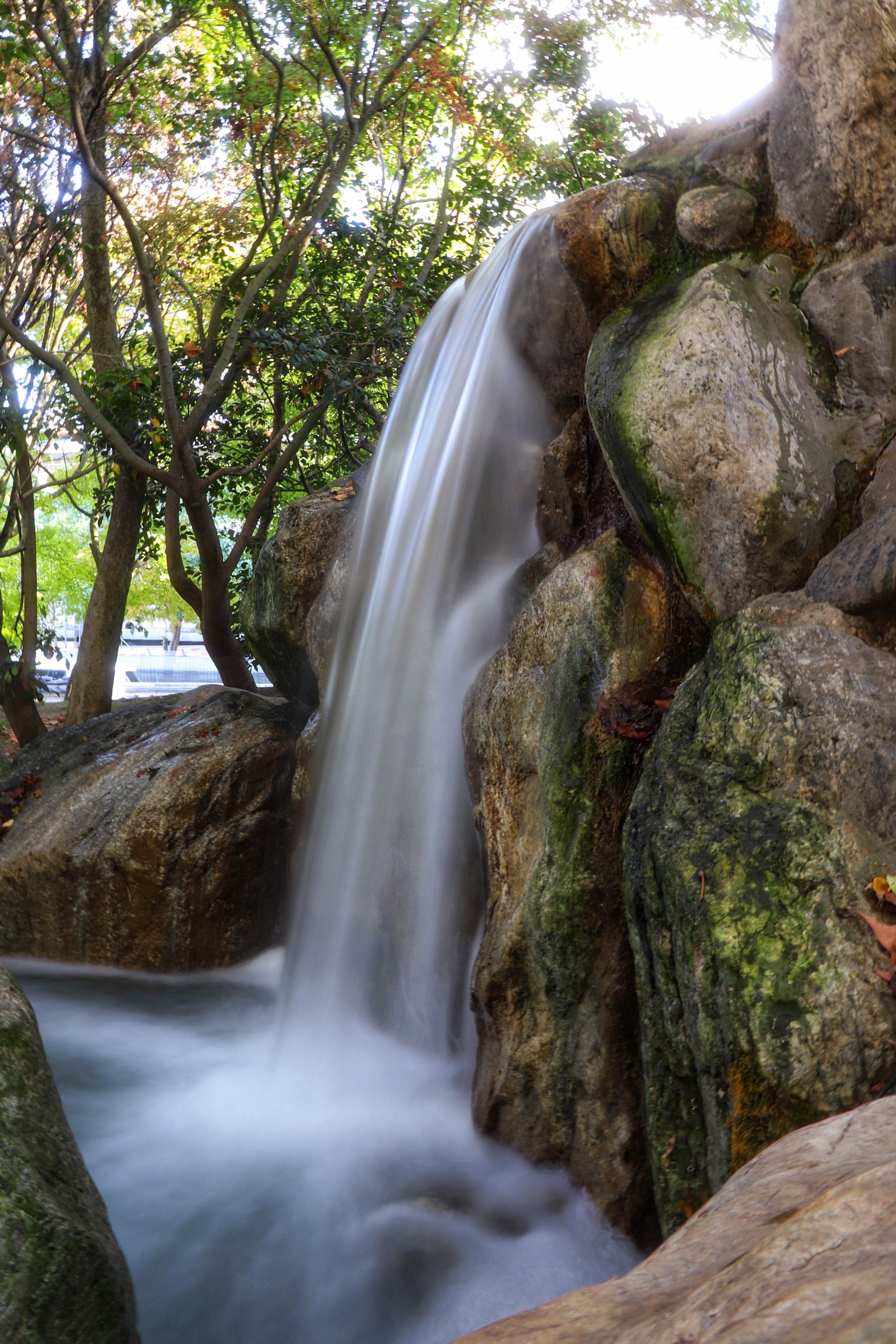 Serene Waterfall in Lush Forest Setting · Free Stock Photo