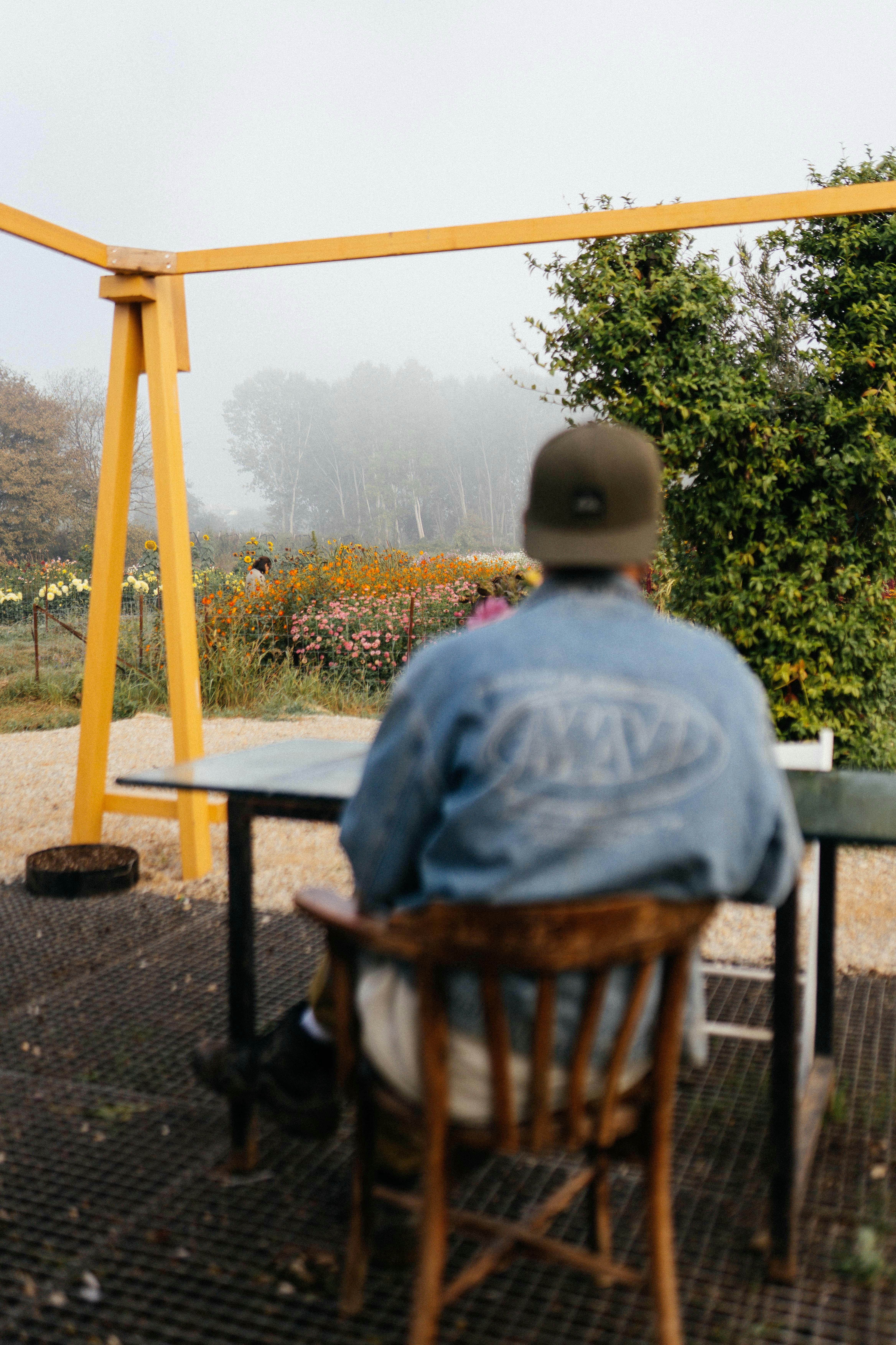 Outdoor Garden Scene with Person in Focus · Free Stock Photo
