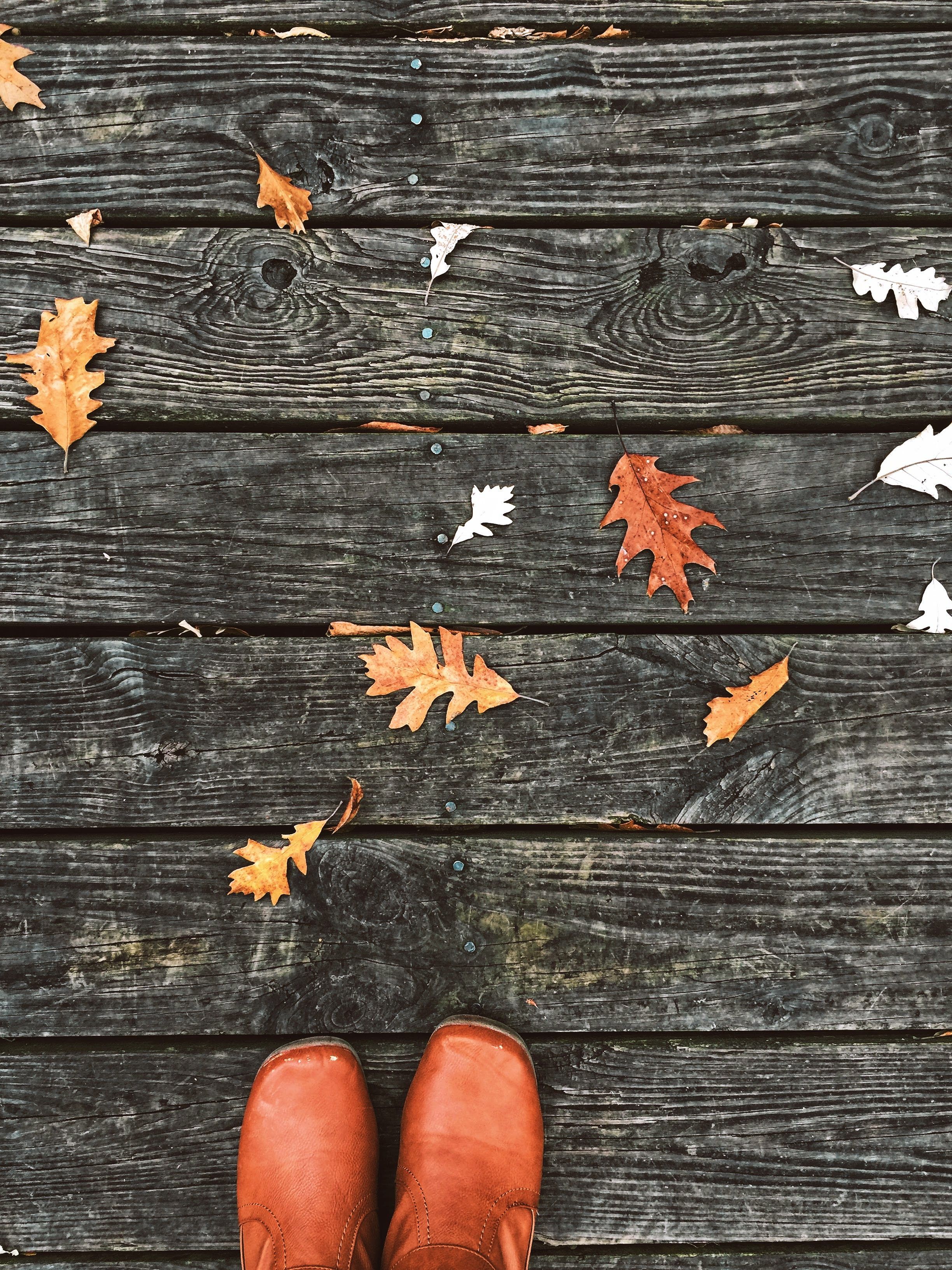 Autumn Leaves on Wooden Deck with Boots · Free Stock Photo