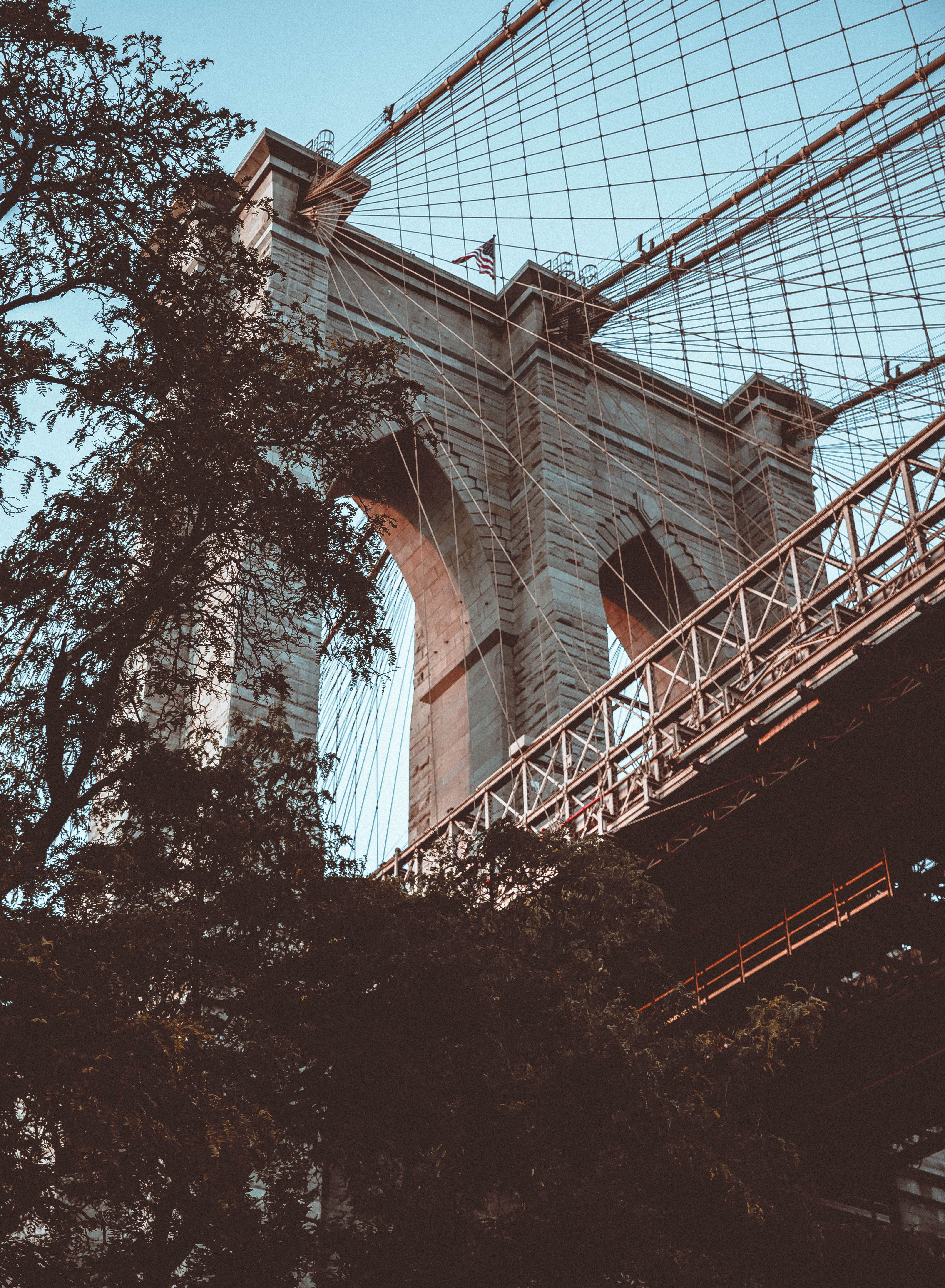 Steel Trees Photos, Download The BEST Free Steel Trees Stock Photos ...