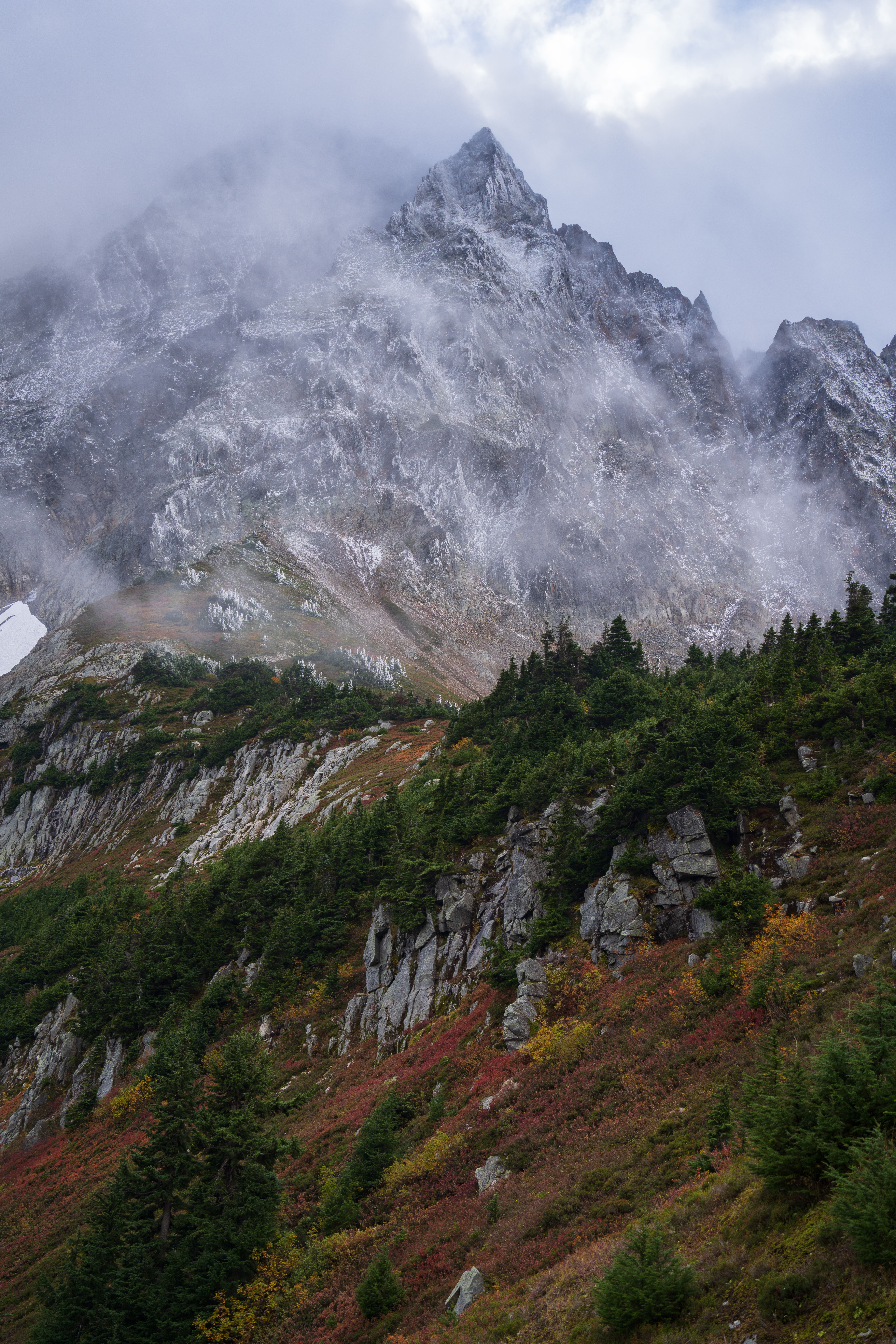 Misty Mountain Scene in Washington State · Free Stock Photo