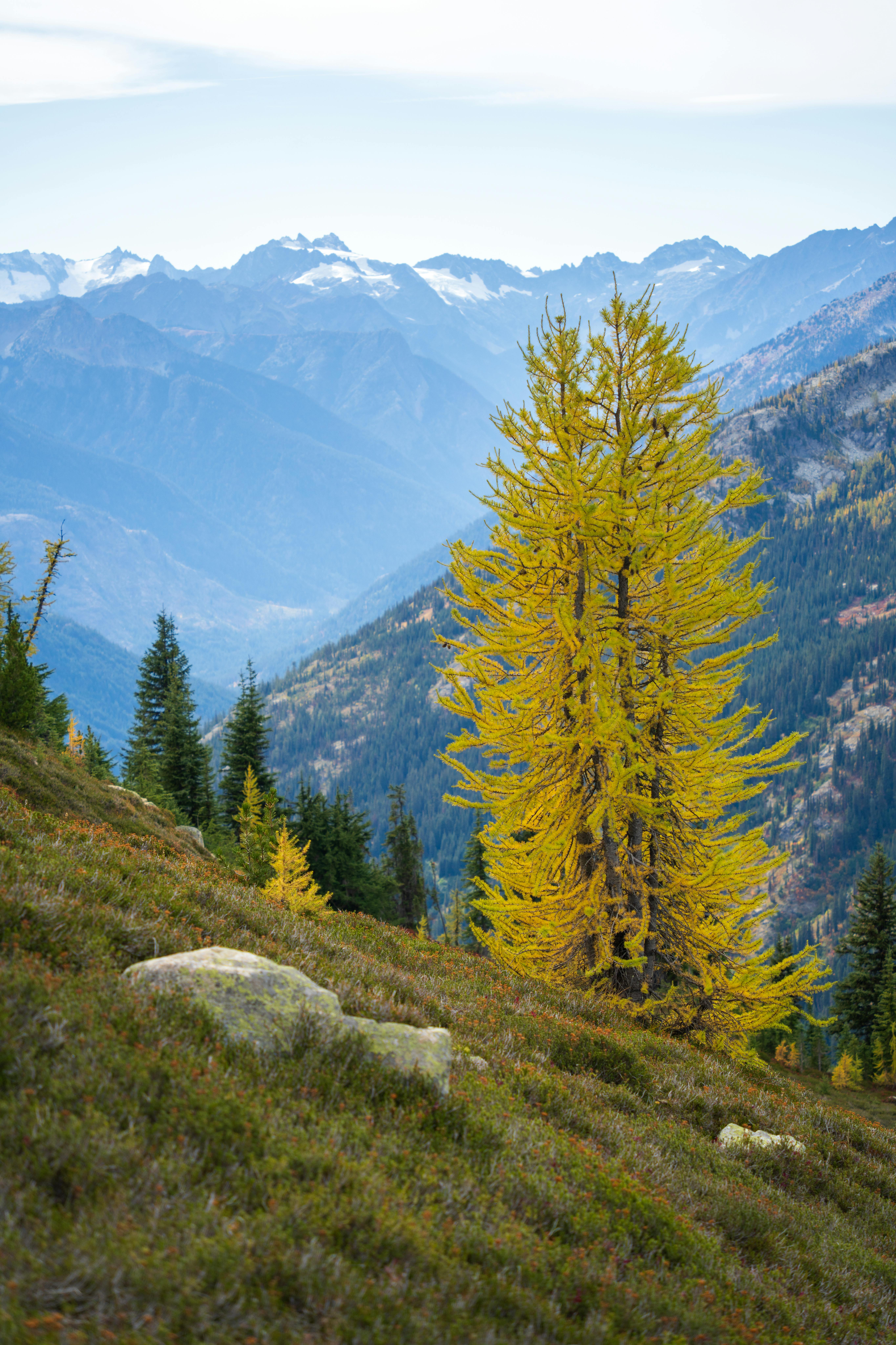 Stunning Autumn Landscape in Washington State · Free Stock Photo
