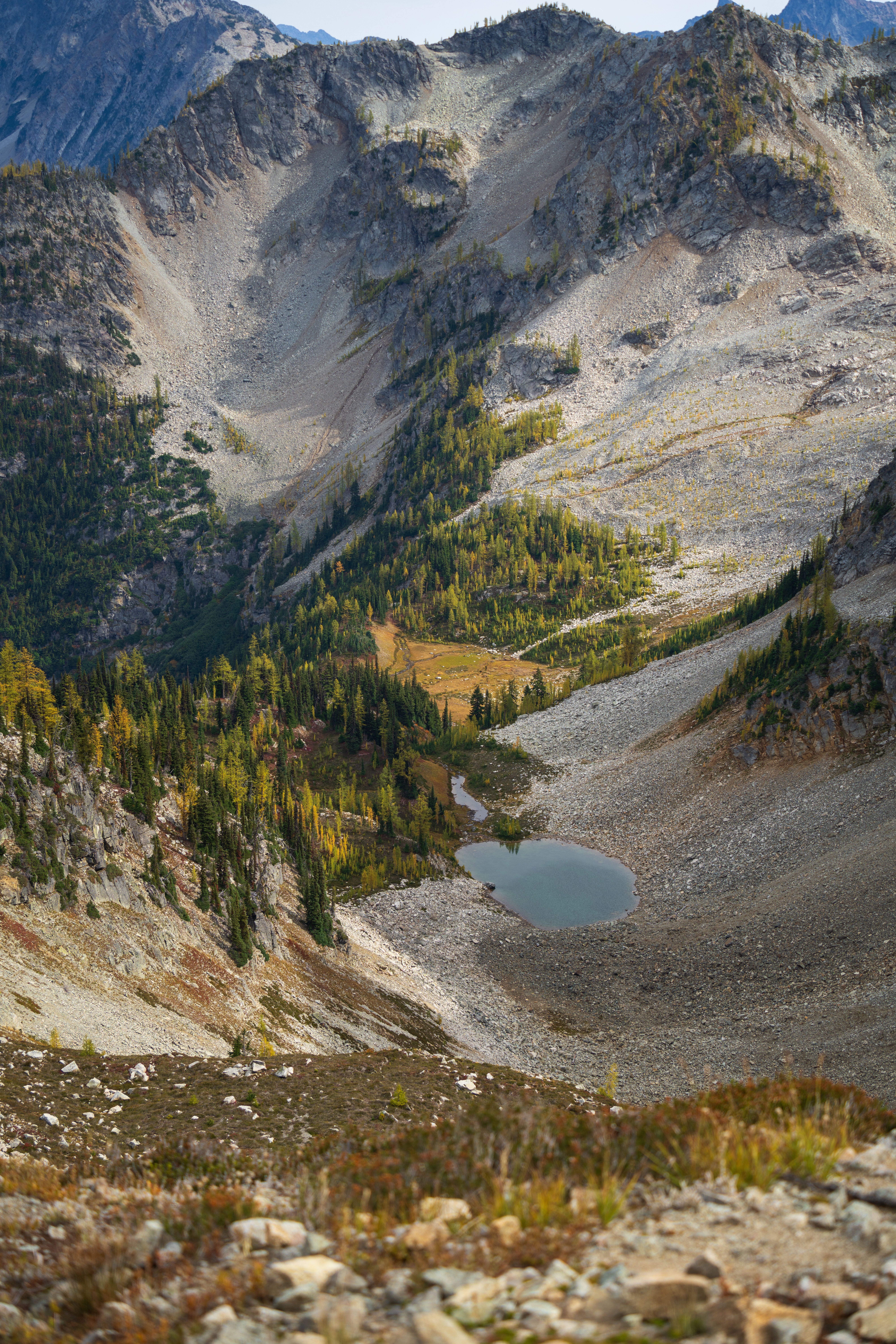 Scenic Alpine Valley in Washington State · Free Stock Photo