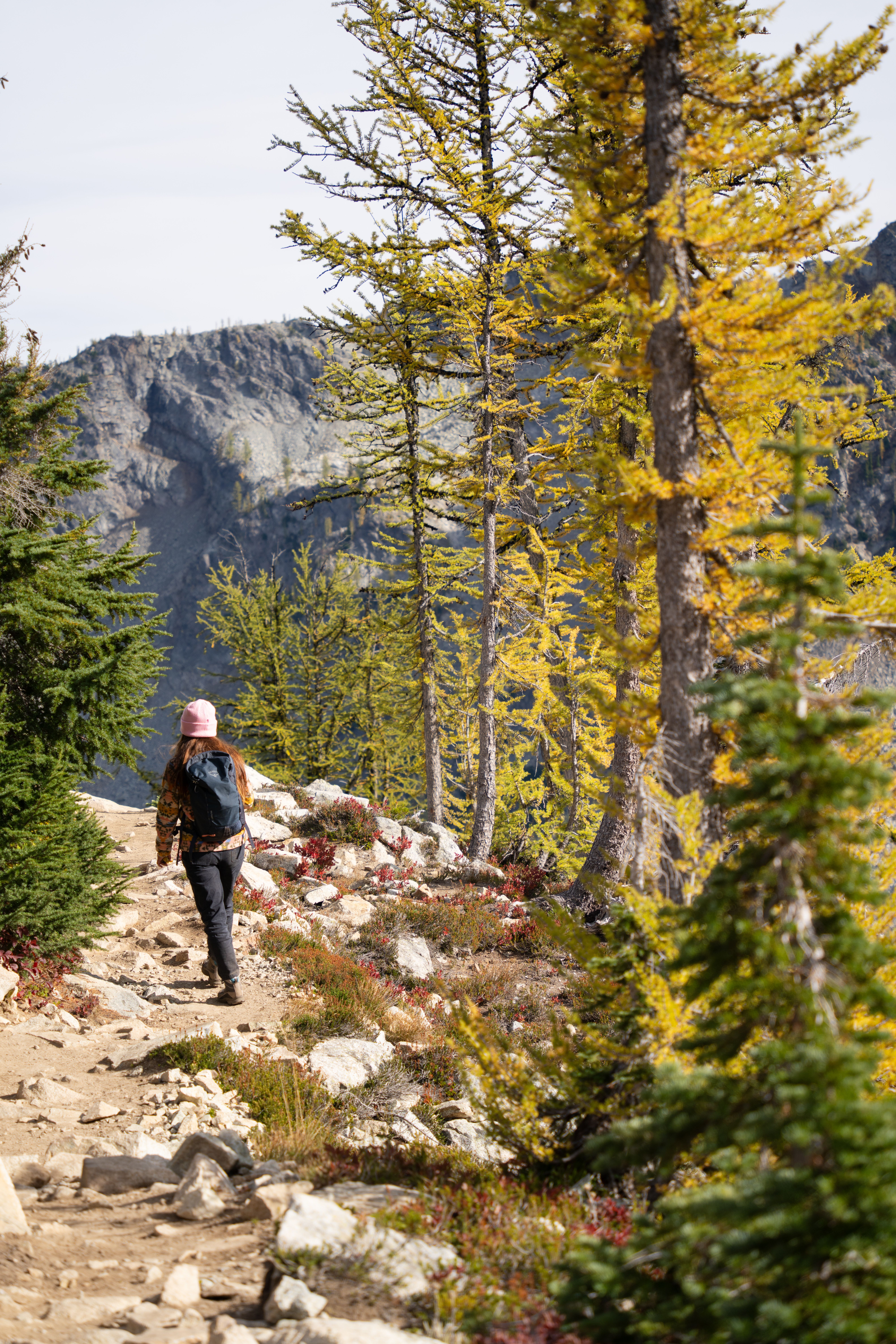 Autumn Hike in Washington's Scenic Wilderness · Free Stock Photo
