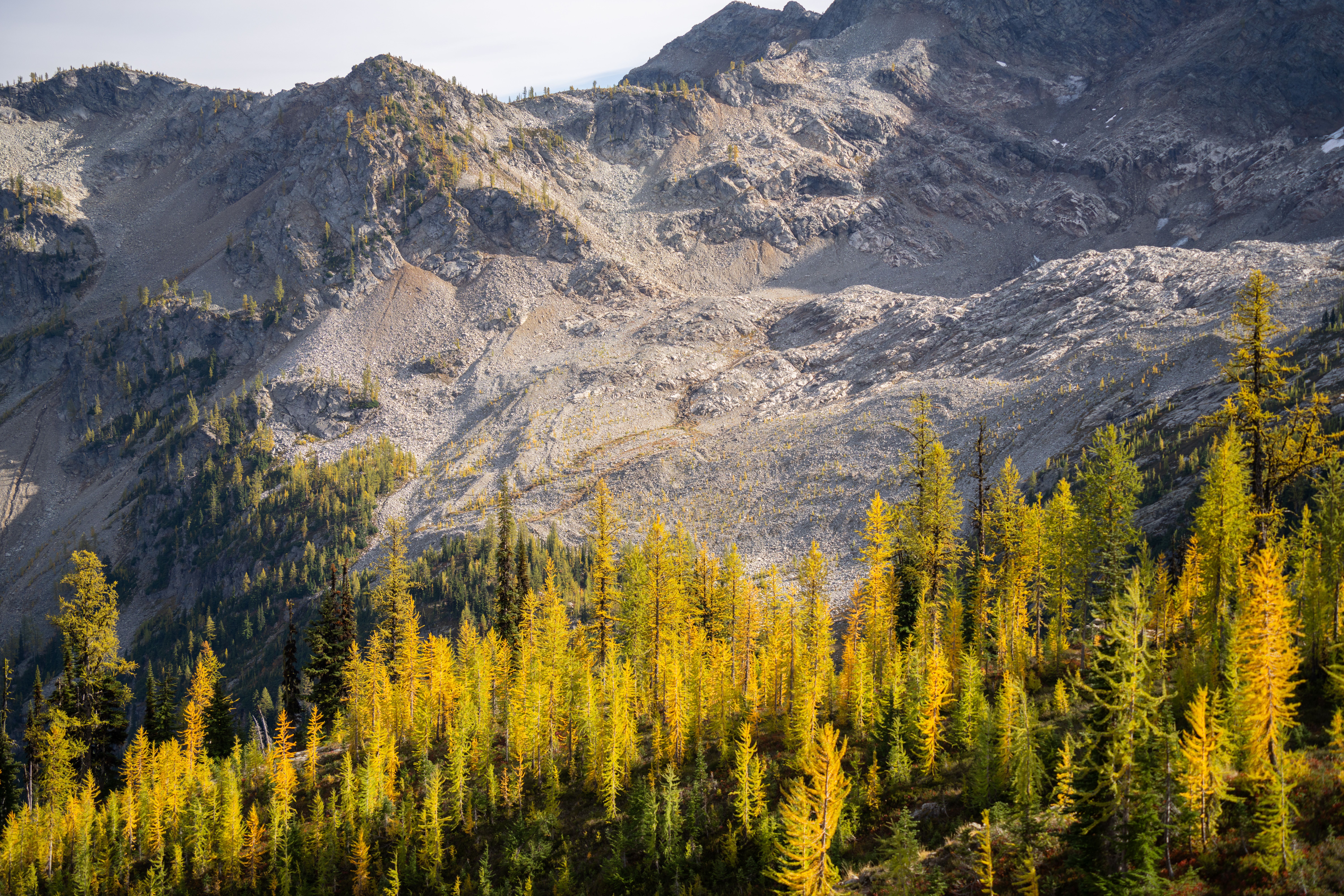 Scenic Autumn Landscape in Washington State · Free Stock Photo