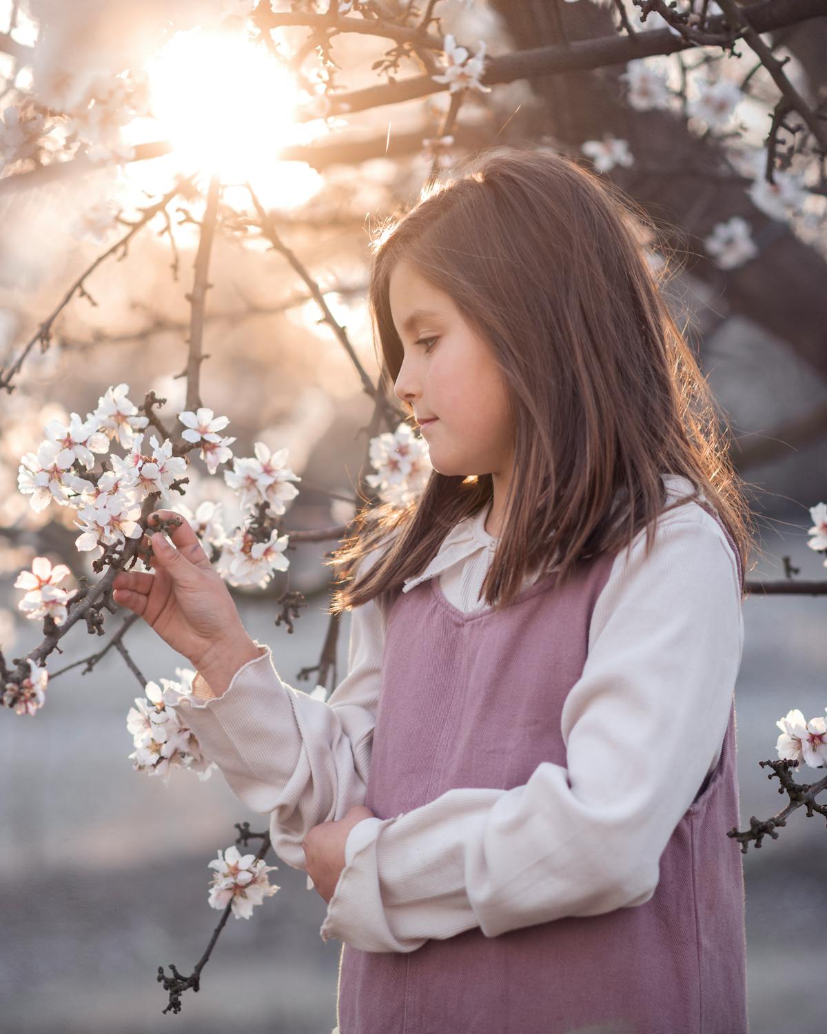 Budding Girls Photos, Download The BEST Free Budding Girls Stock Photos & HD Images