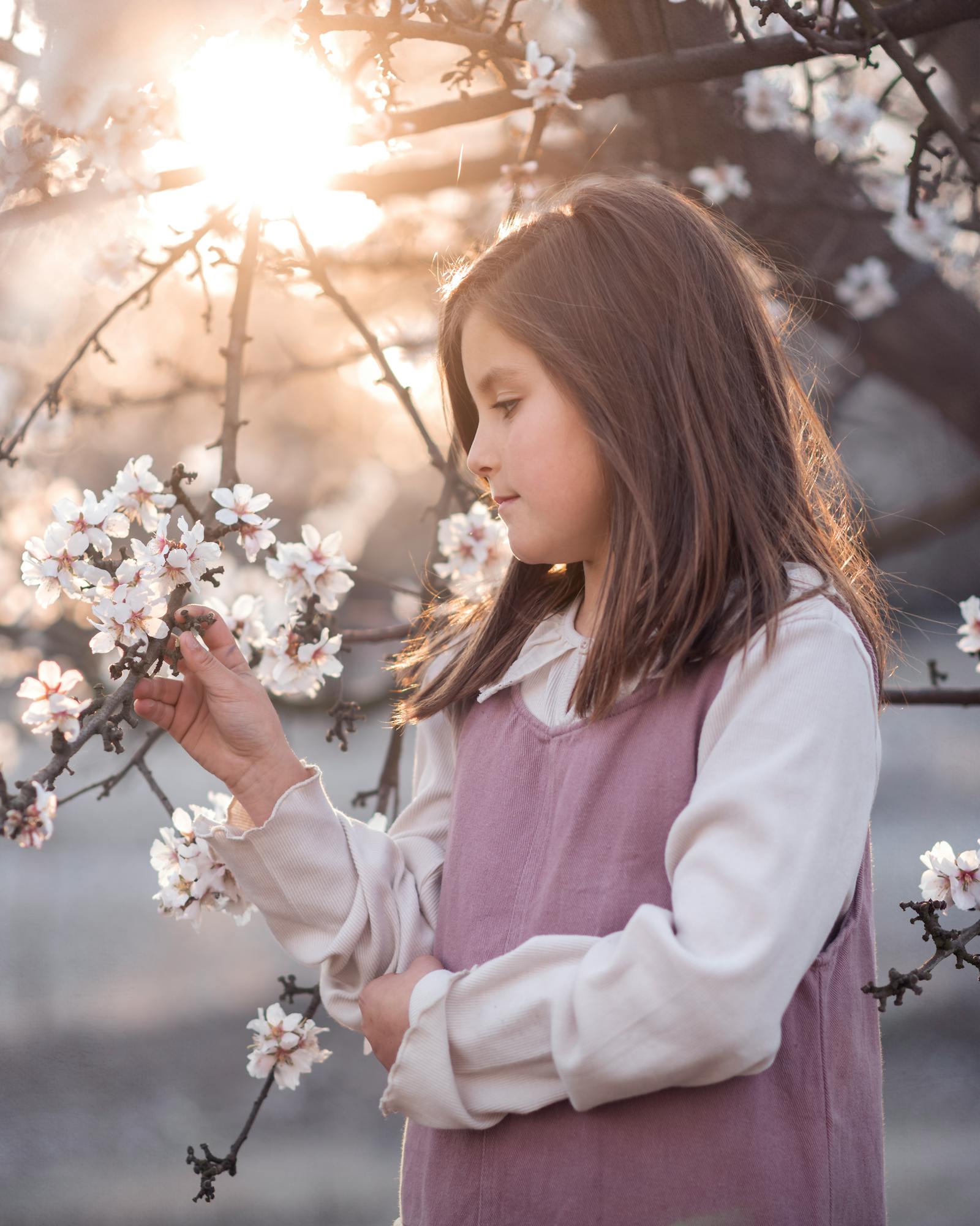 Budding Girls Photos, Download The BEST Free Budding Girls Stock Photos & HD Images