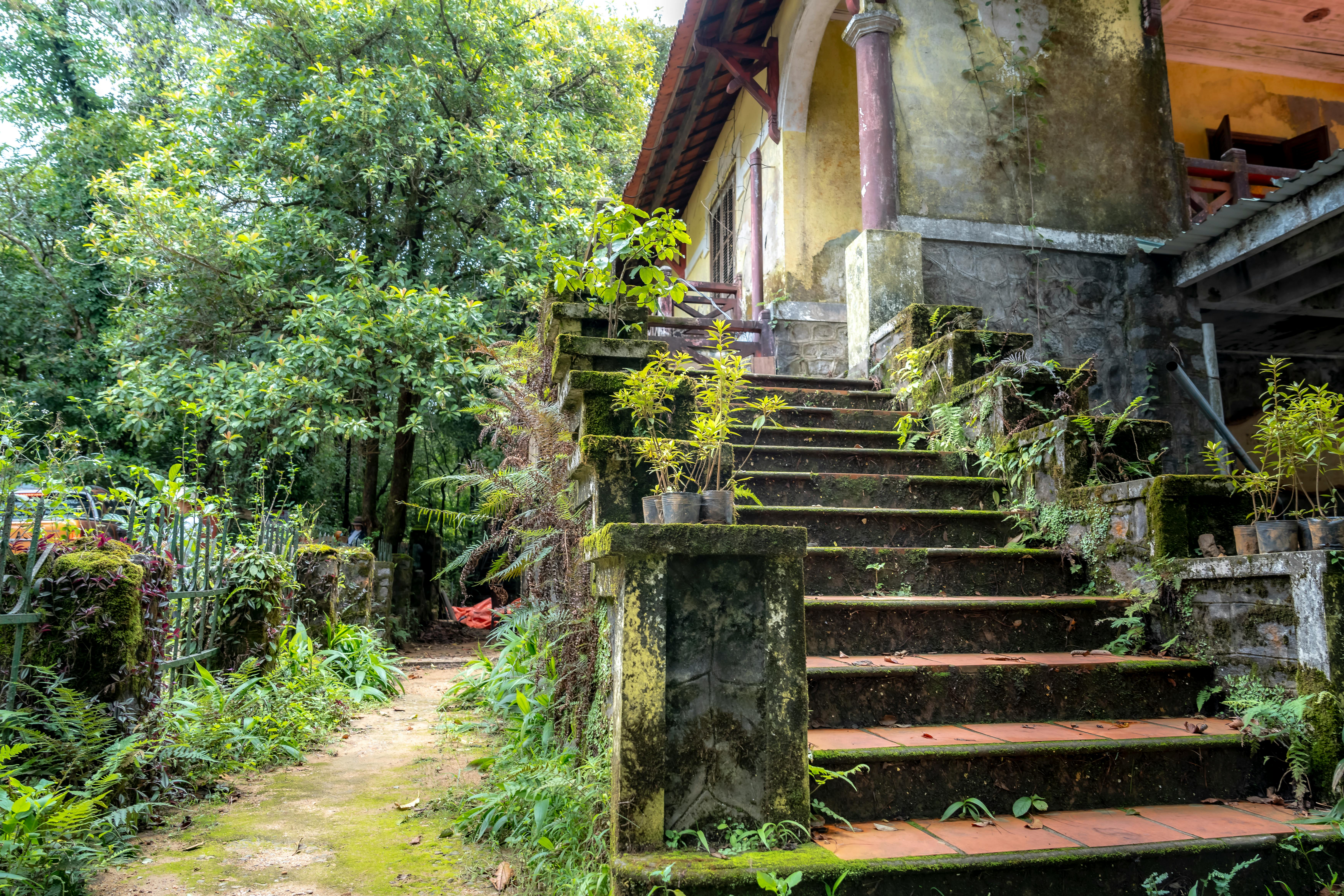 Rumah Vintage Menawan Dikelilingi Tanaman Hijau Yang Rimbun · Foto Stok ...